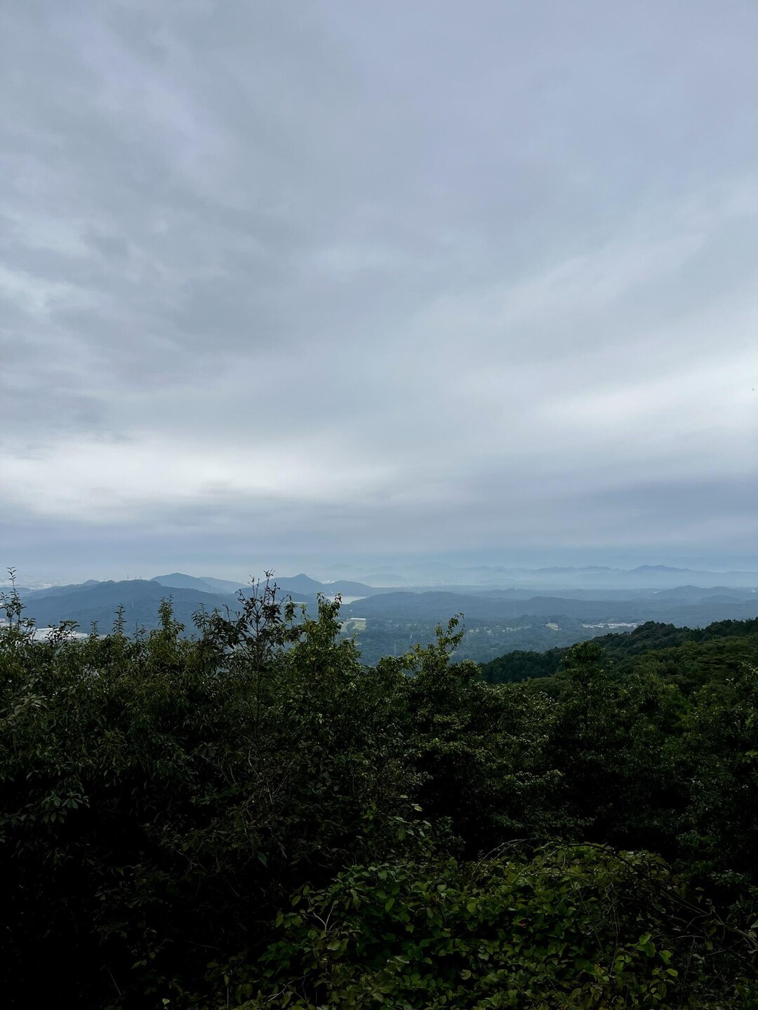大谷山・弥勒山 トレラン練習 / SAVARTAN HIRANOさんの春日井三山・弥勒山・大谷山・道樹山の活動データ | YAMAP / ヤマップ