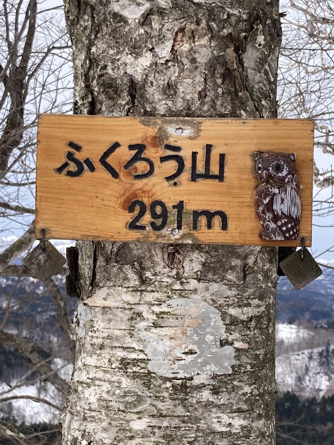 ふくろう山💛🦉 ️ / mikoさんの神居尻山・ピンネシリの活動データ | YAMAP / ヤマップ