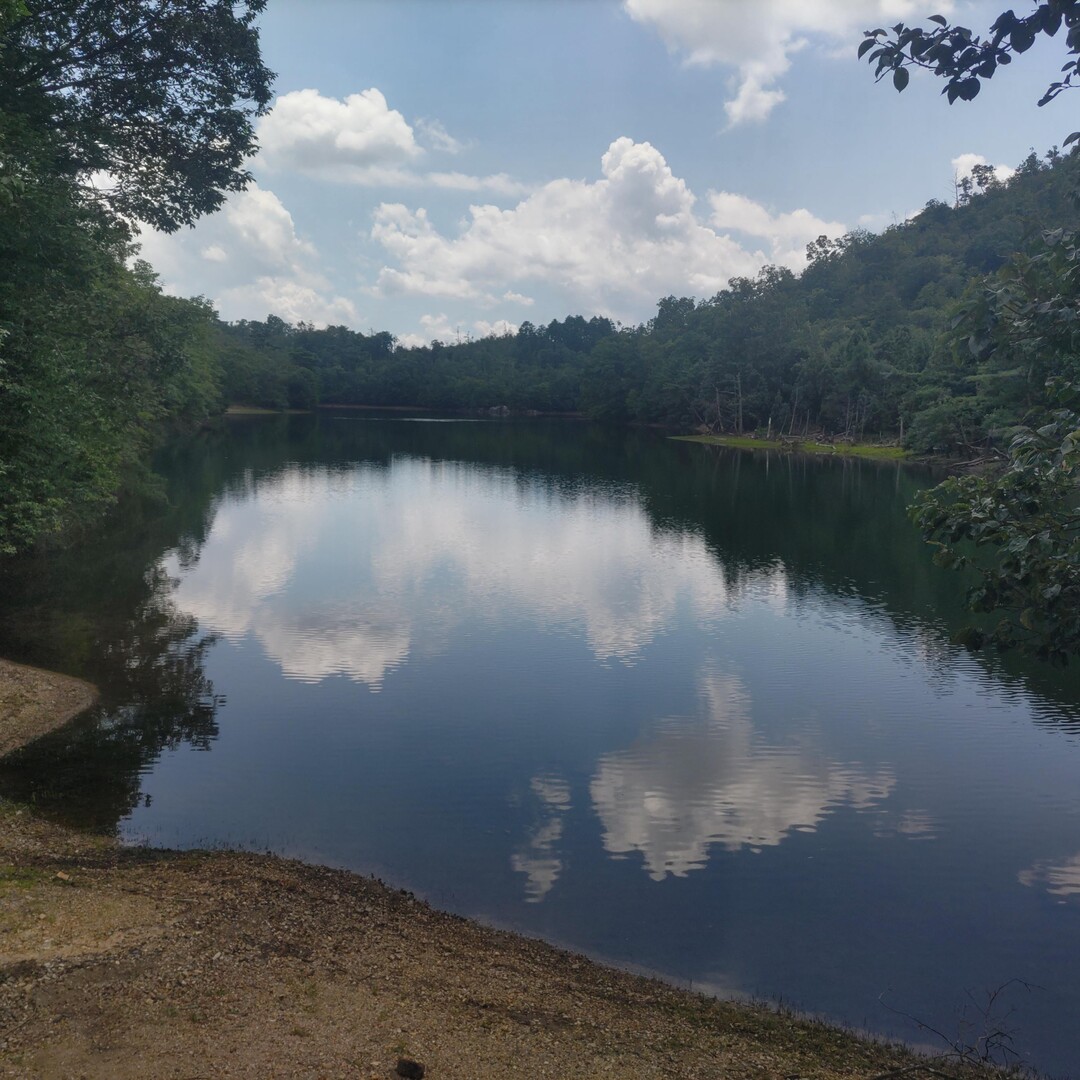 沢の池-沢山 / ss43mさんの十三石山・釈迦谷山・沢山の活動データ | YAMAP / ヤマップ