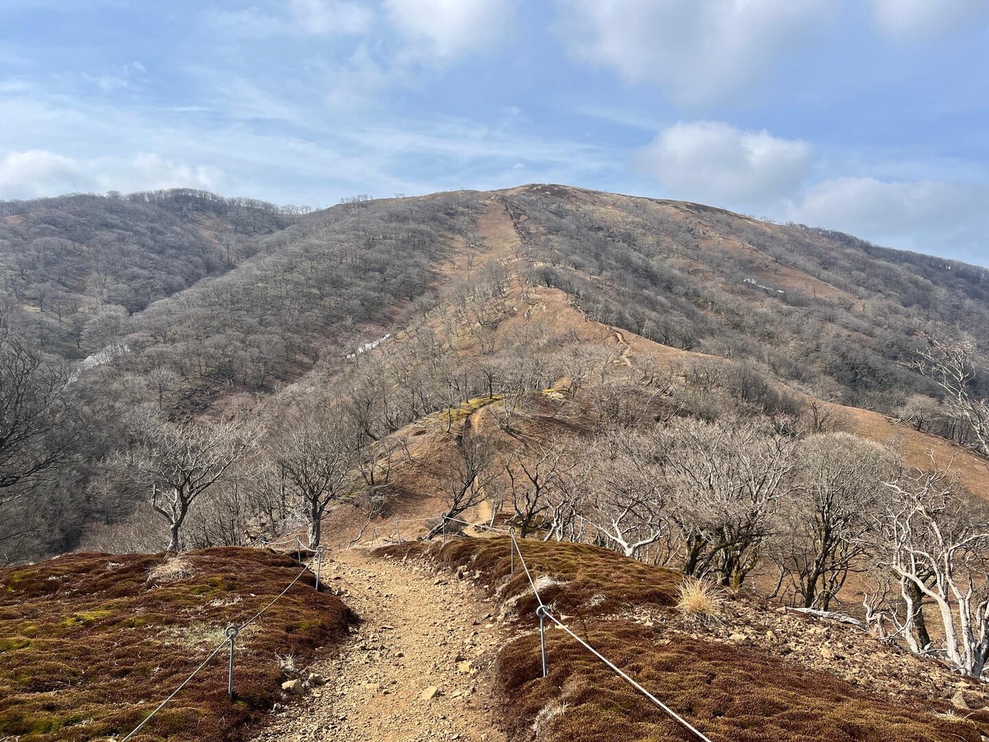 鈴北岳・御池岳 / Jamesさんの藤原岳・御池岳の活動データ | YAMAP / ヤマップ