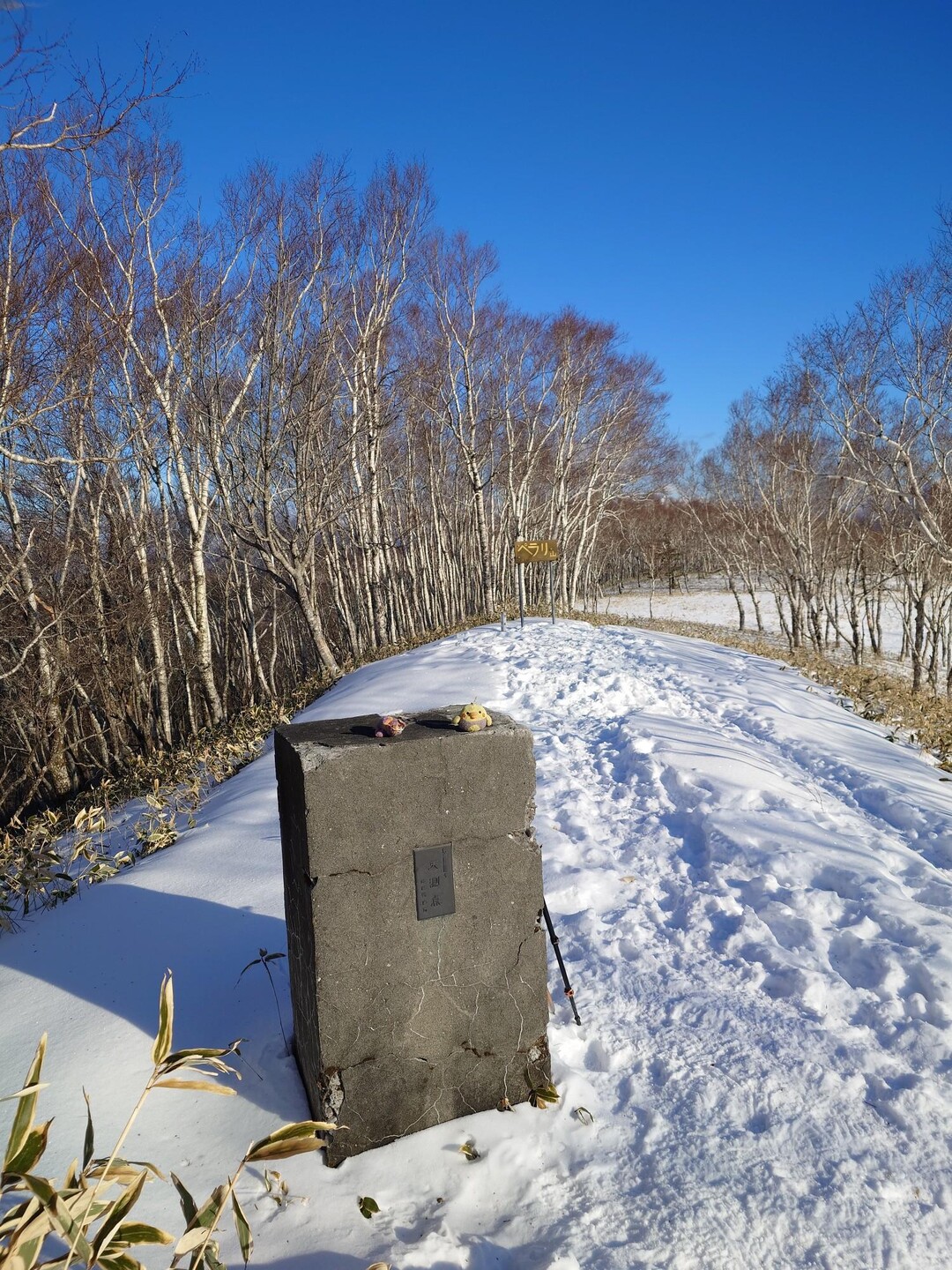 ペラリ山（一等三角点） / fujisunさんのペラリ山の活動日記 | YAMAP / ヤマップ
