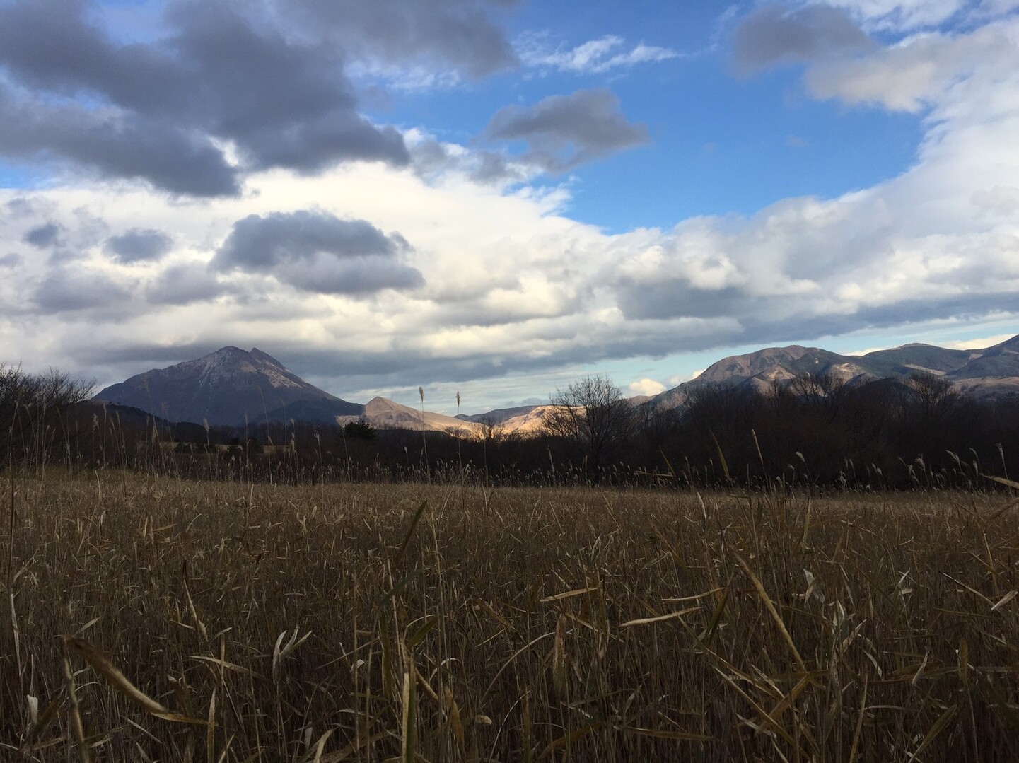 福万山 / yuyu＊さんの福万山・大祖山・平家山の活動データ | YAMAP / ヤマップ