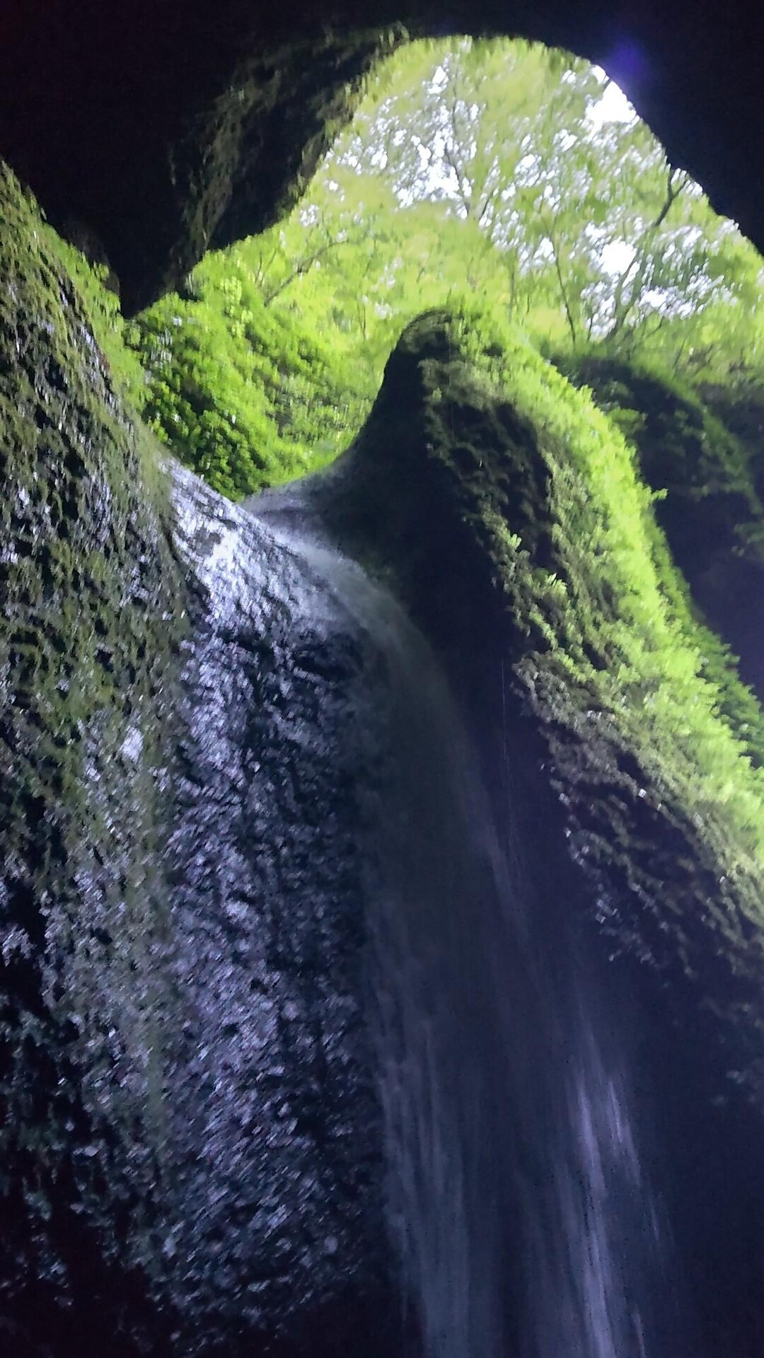 シワガラの滝2024-09-16 / ikkoさんの扇ノ山の活動データ | YAMAP / ヤマップ