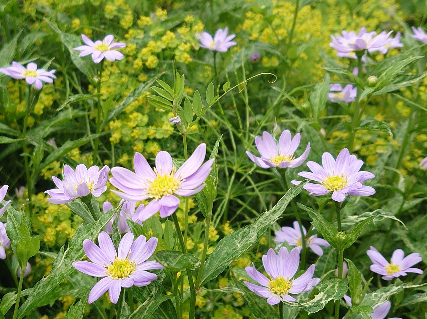 お天気回復傾向ですが、連休中のお仕事と地... / Ryuさんのモーメント | YAMAP / ヤマップ