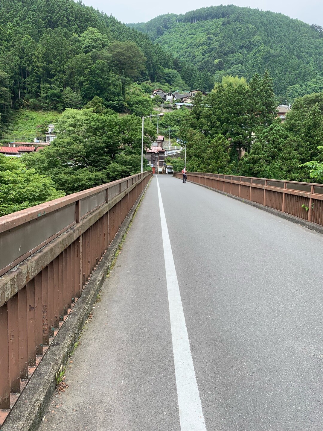 本仁田山・瘤高山 / Shu.Tさんの川苔山（川乗山）の活動データ | YAMAP / ヤマップ