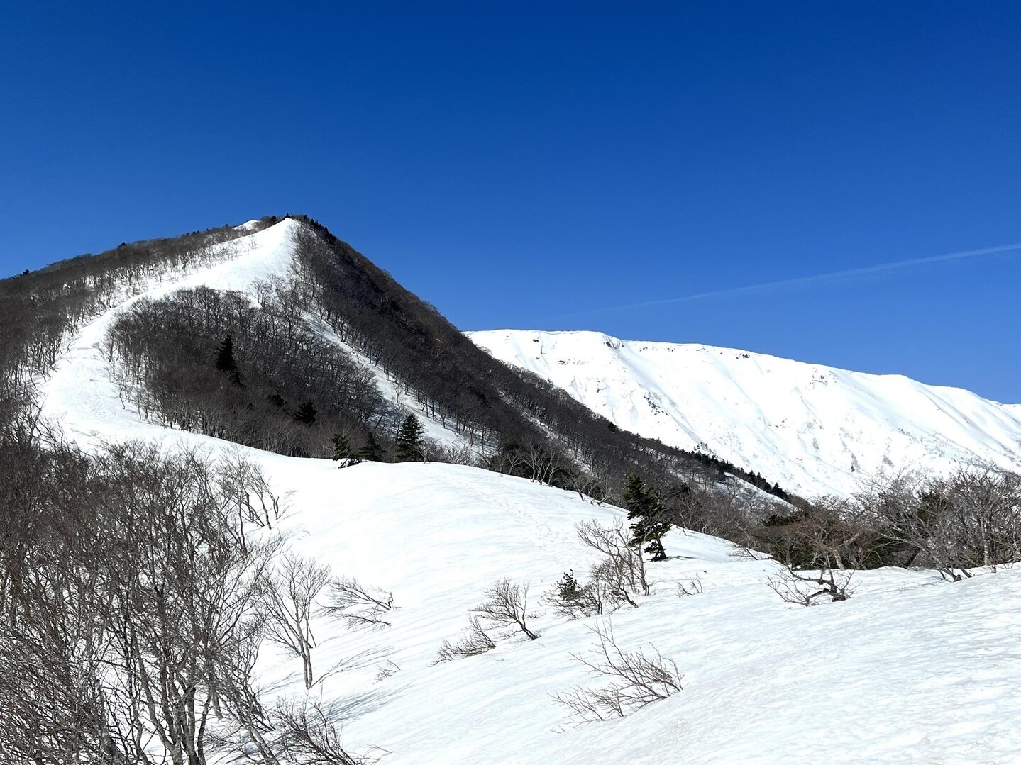 残雪期 ️馬ノ神岳🏔 / Muraさんの蔵王山・雁戸山・不忘山の活動データ | YAMAP / ヤマップ