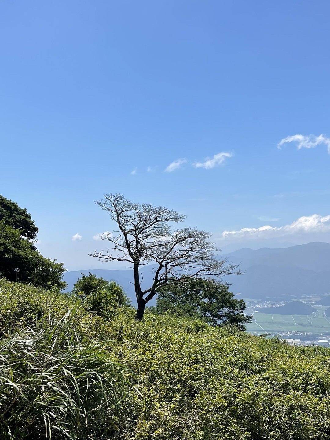 徳蔵山・伊吹山 / Tyさんの伊吹山・伊吹高原・御座峰の活動データ | YAMAP / ヤマップ
