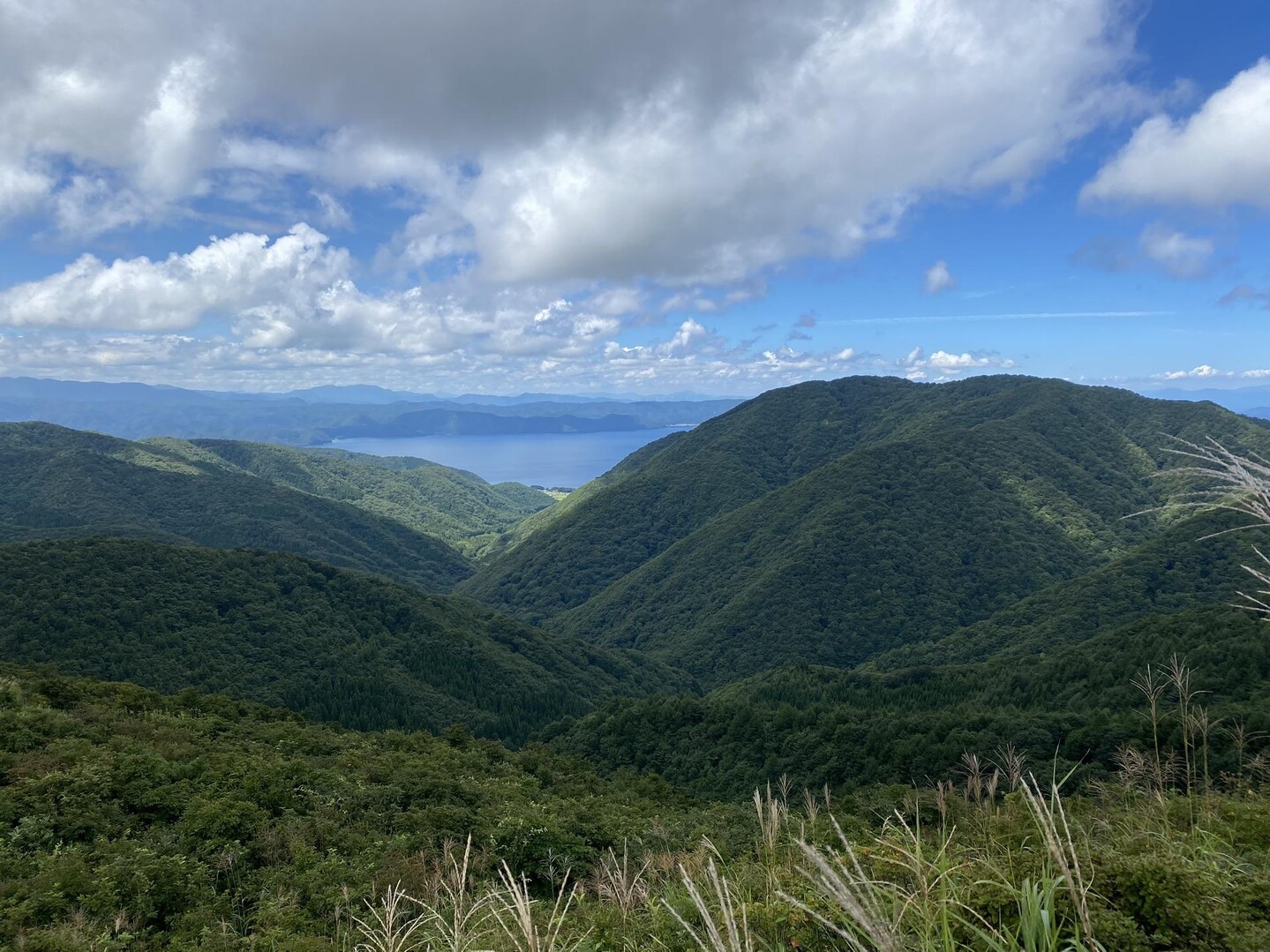 大将旗山 / sanaviさんの額取山（安積山）の活動データ | YAMAP / ヤマップ