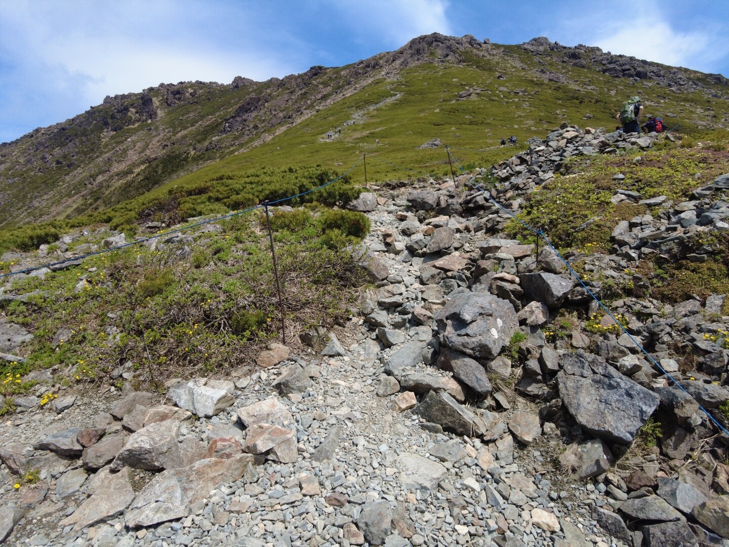 初/早池峰山 / sacchさっちさんの早池峰山・薬師岳・鶏頭山の活動データ | YAMAP / ヤマップ