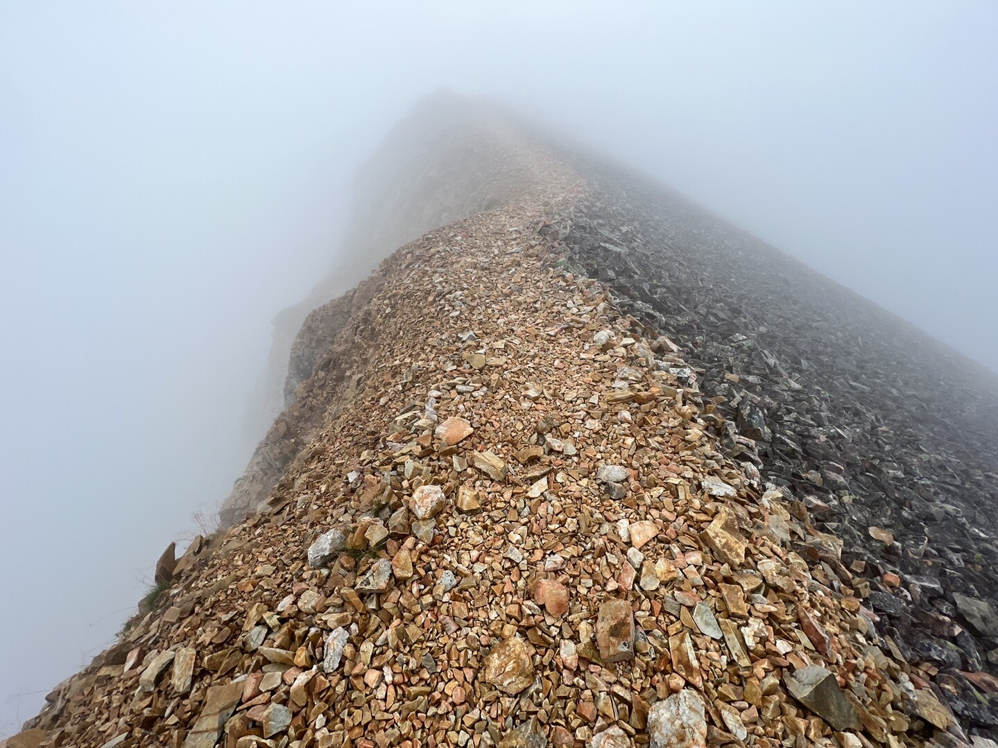 ミスティーロード / kalo_zzzさんの白馬岳・小蓮華山の活動データ | YAMAP / ヤマップ