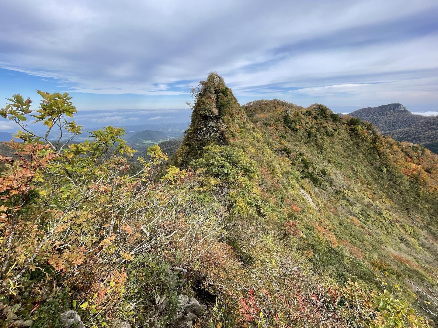 三鈷峰・象ヶ鼻・振子山・野田ヶ山 / なべ(ワンゲルOB)さんの大山・甲ヶ山・野田ヶ山の活動データ | YAMAP / ヤマップ