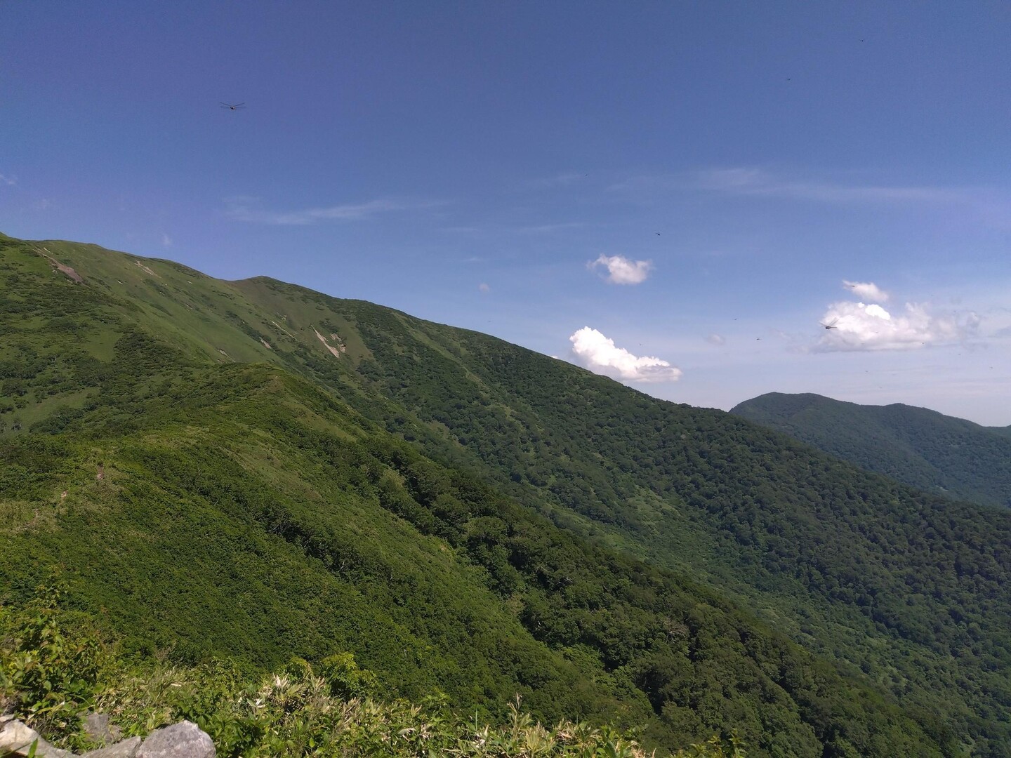 彦星に会えなかった(；；) / shino-puさんの仙ノ倉山・平標山・大源太山の活動データ | YAMAP / ヤマップ