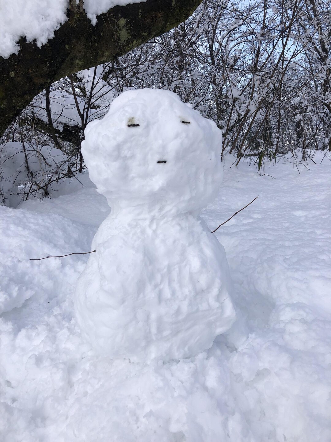 散歩・城山 / OKDさんの呉羽山・城山の活動データ | YAMAP / ヤマップ