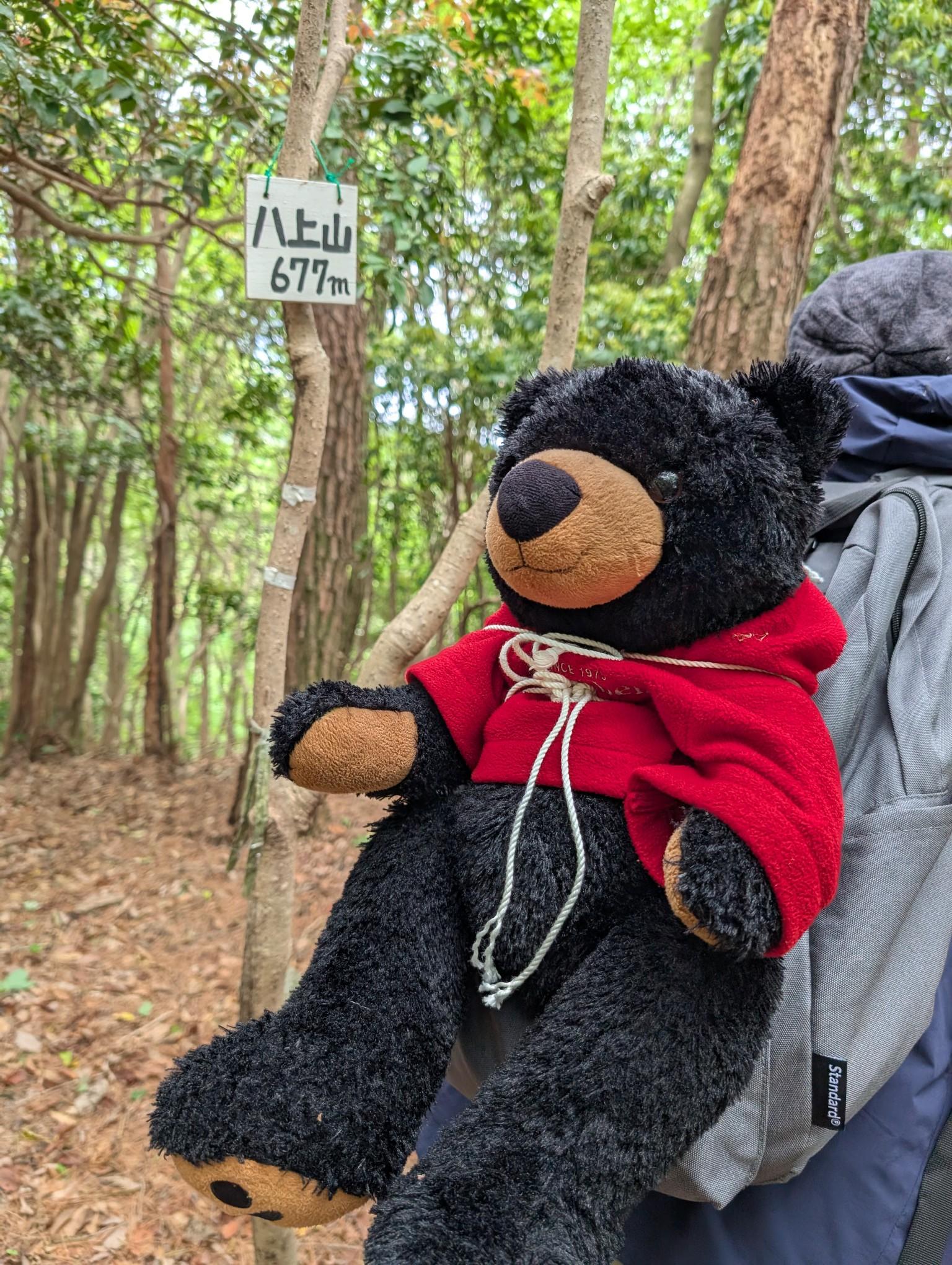 八上山・弥十郎ヶ嶽 / mioさんの弥十郎ヶ嶽の活動データ | YAMAP / ヤマップ