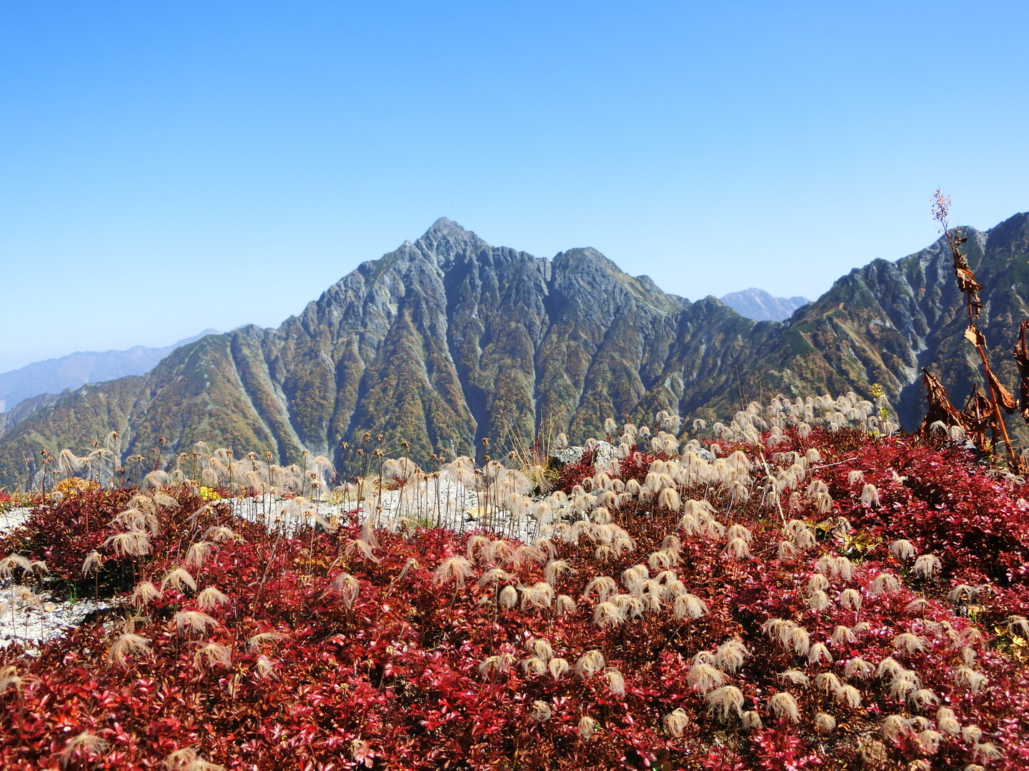 奥大日岳 紅葉と剱岳の展望が素晴らしい山 / tadmさんの立山・雄山・浄土山の活動日記 | YAMAP / ヤマップ