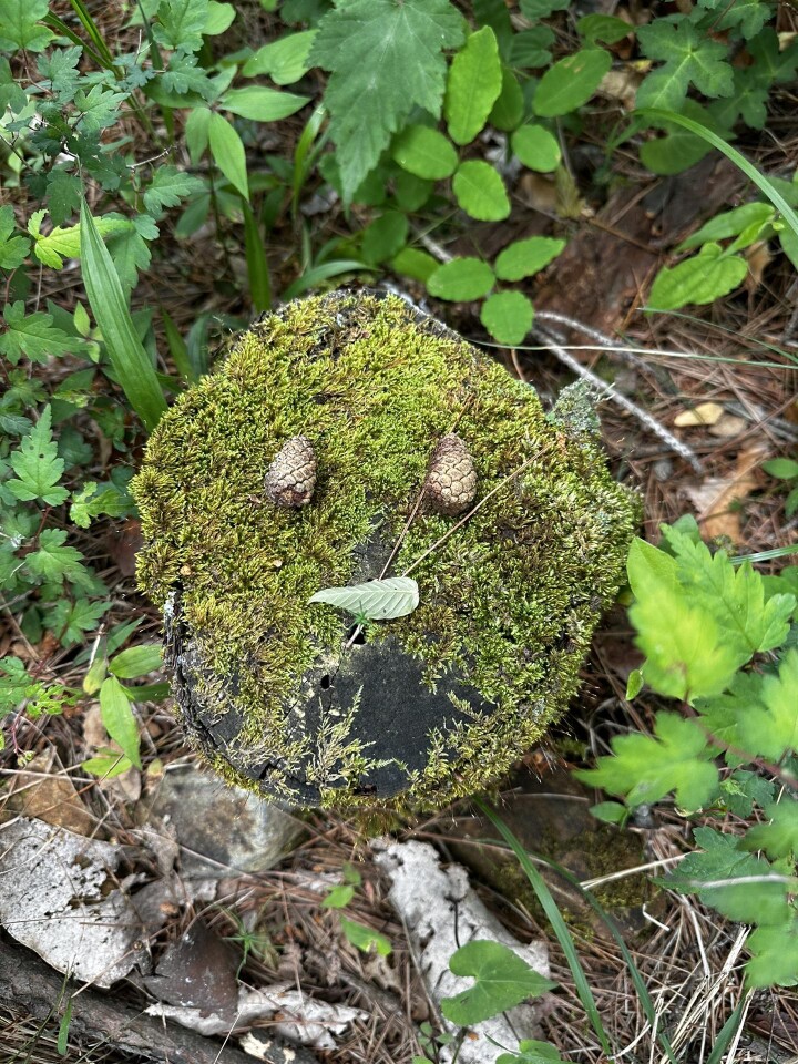 【周回】百蔵山（JR猿橋駅）の地図・登山ルート・登山口情報 | YAMAP / ヤマップ