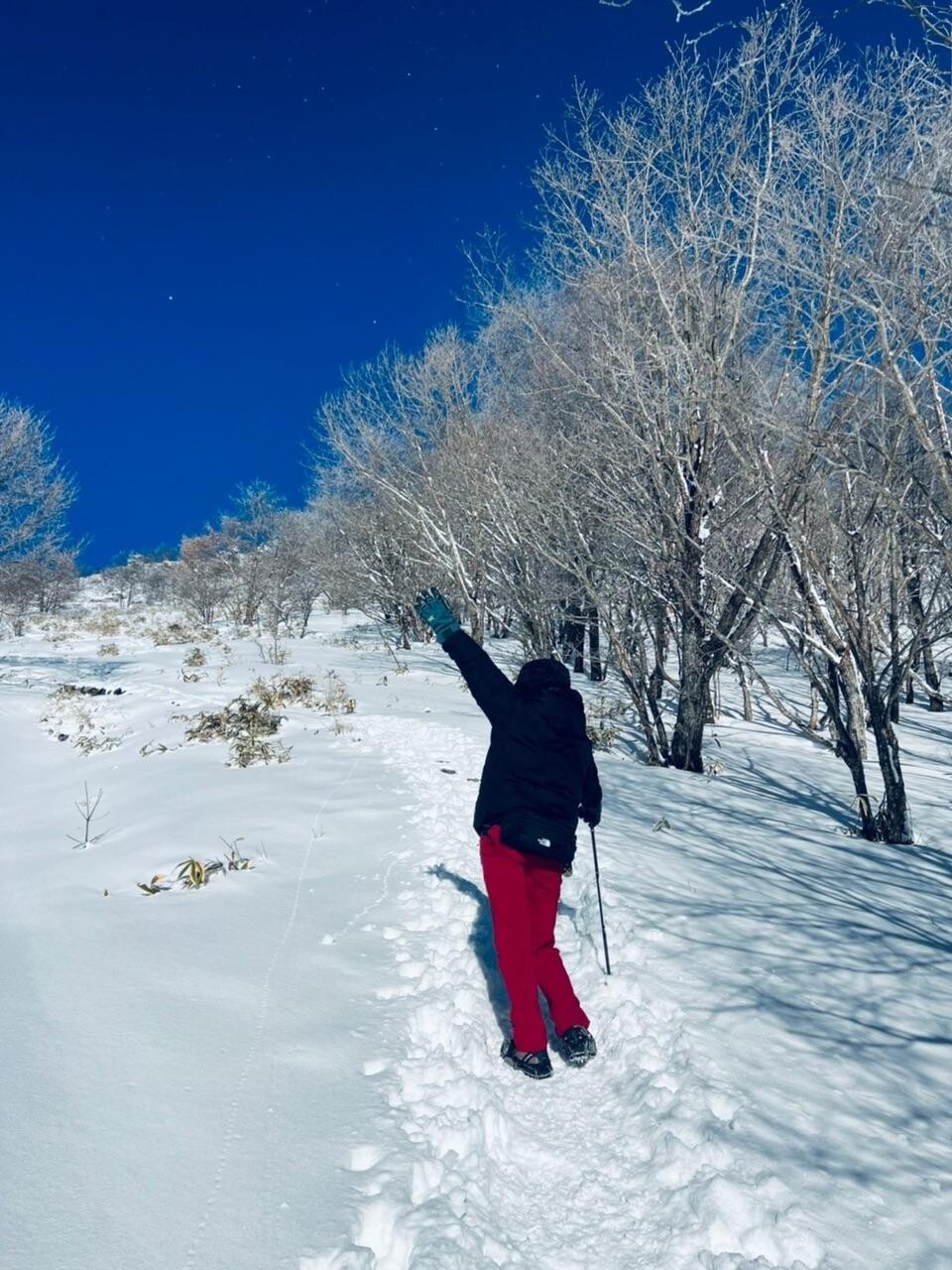 miiのページ | YAMAP / ヤマップ