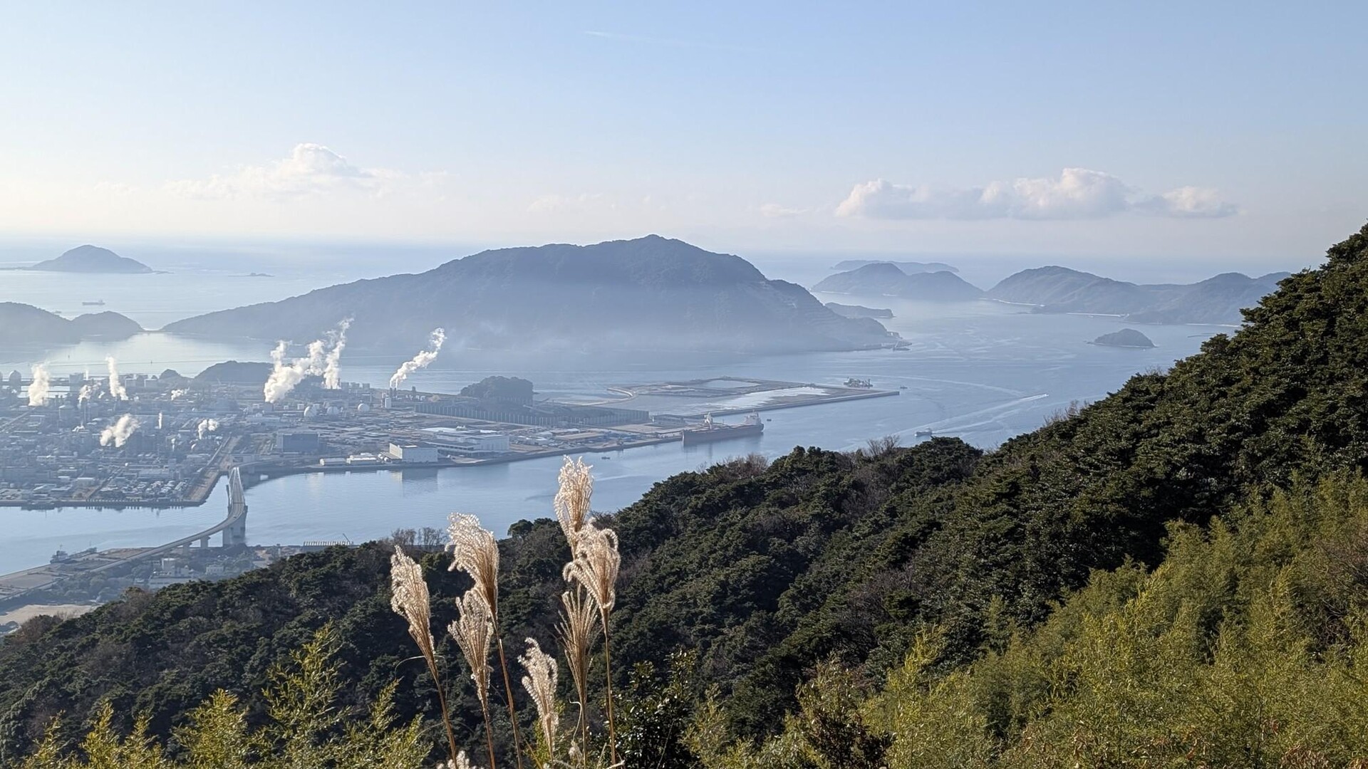 嶽山 朝の山歩 福川ルート R6-55 / Zatoさんの嶽山・若山・四熊ヶ岳の活動データ | YAMAP / ヤマップ