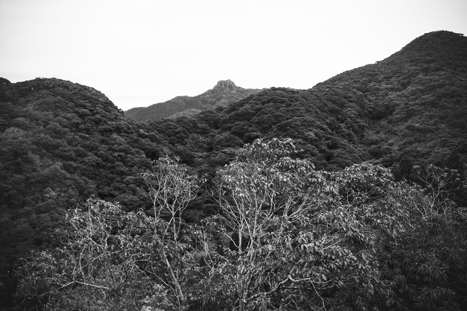 P325・中嶽・磯間嶽 / やすさんの磯間嶽の活動データ | YAMAP / ヤマップ