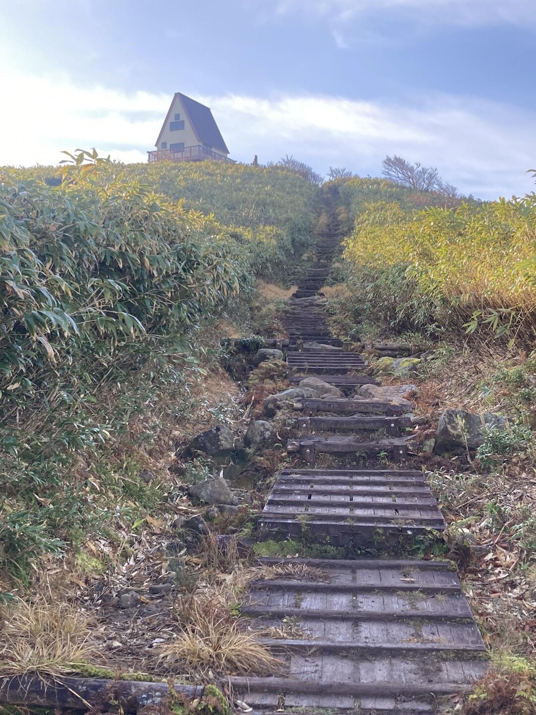 凍てつく前に、氷ノ山（親水公園から東尾根に周回、反時計周り) / akimetalさんの氷ノ山（須賀ノ山）・鉢伏山・瀞川山の活動データ | YAMAP / ヤマップ