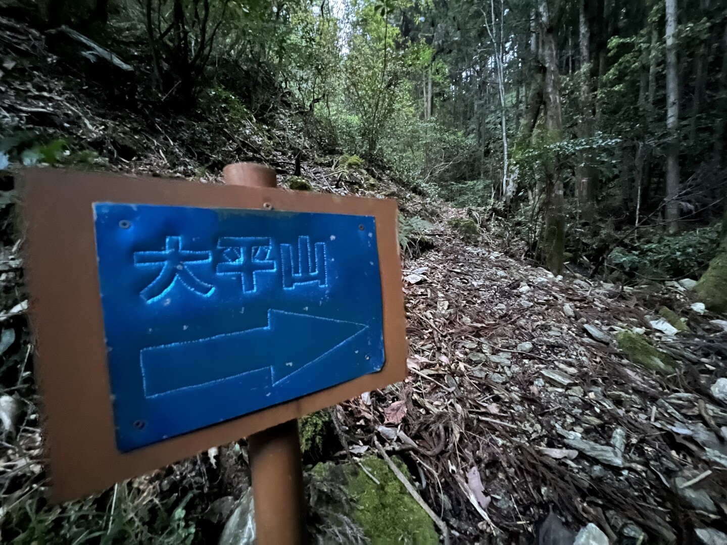 実家の裏山 大平山 / namisuke🐝さんの烏岳の活動データ | YAMAP / ヤマップ