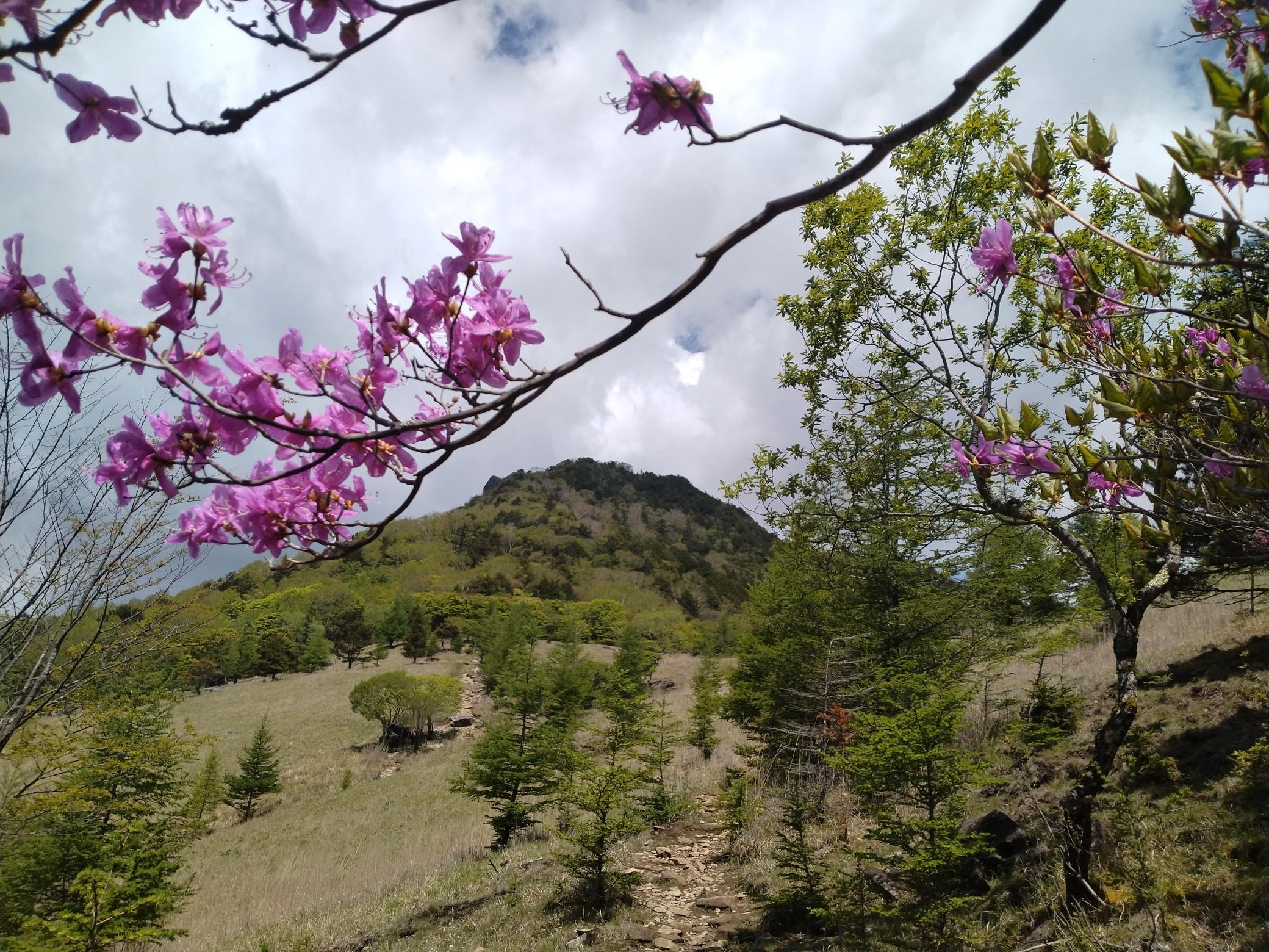 🌸Mt.Kentokusan⚡️ / 🌸Springthunders⚡さんの乾徳山・黒金山の活動データ | YAMAP / ヤマップ