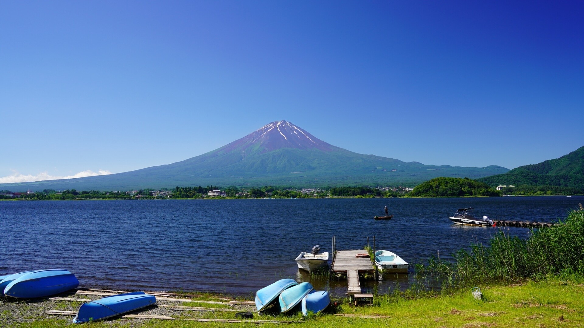 河口湖大石公園、山中湖平野に行ってきまし... / uchidamaさんのモーメント | YAMAP / ヤマップ