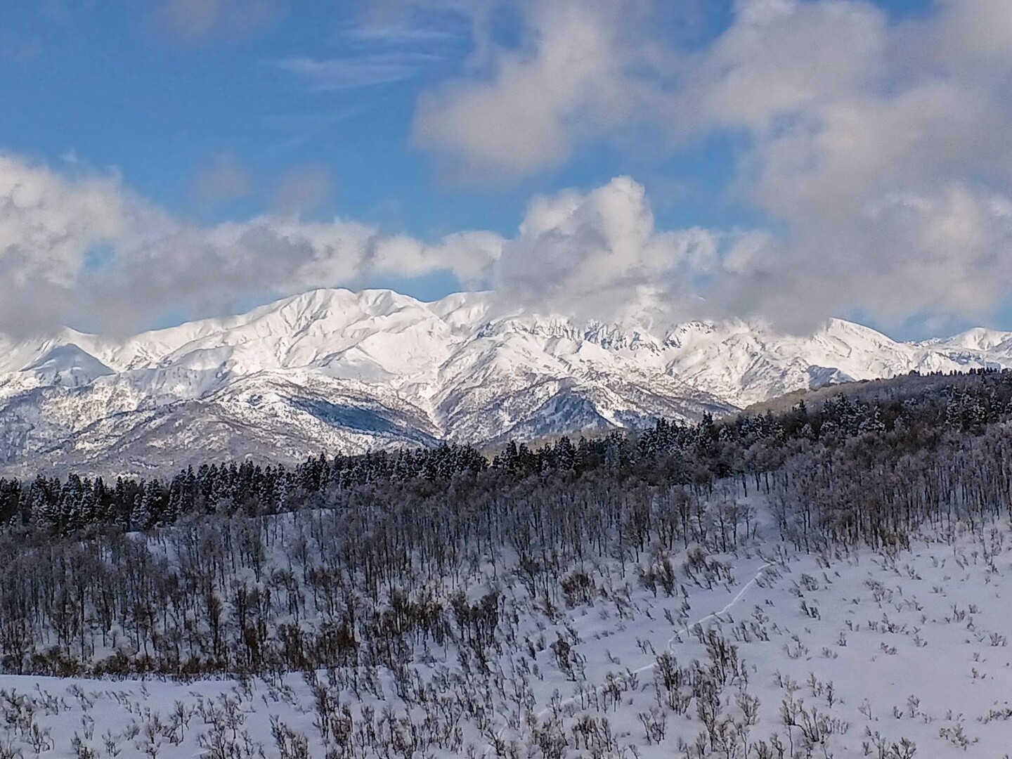 取立山 / shinpeiさんの取立山の活動データ | YAMAP / ヤマップ