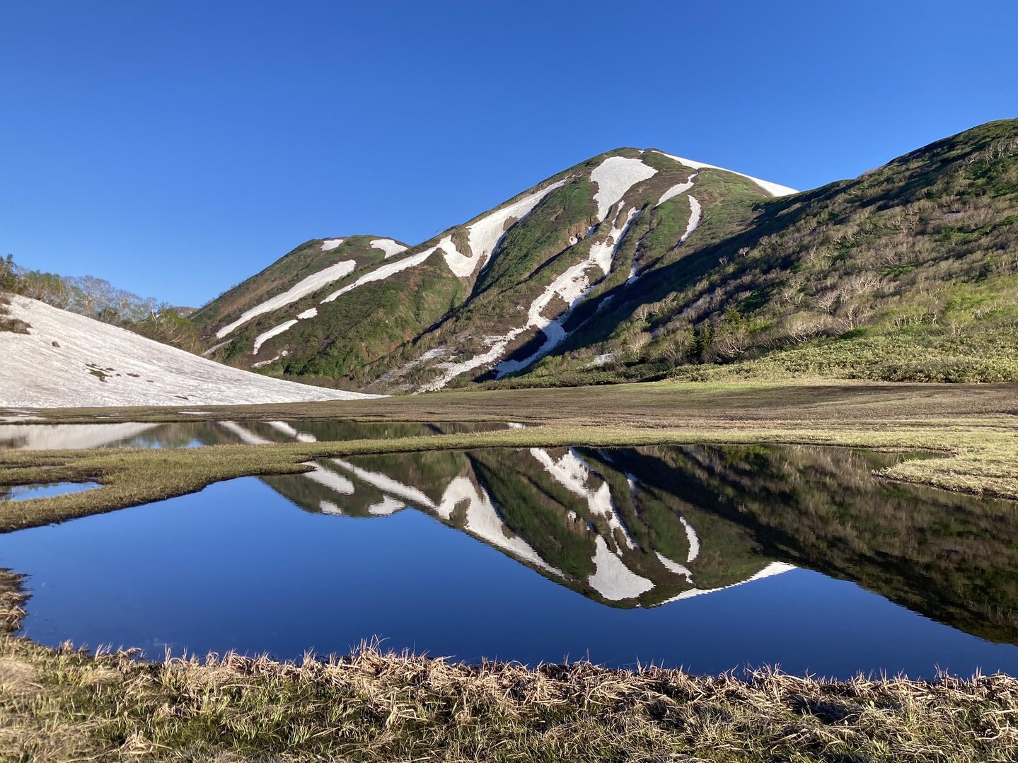 火打山 日本&花の百名山 / plasmonさんの妙高山・火打山の活動データ | YAMAP / ヤマップ
