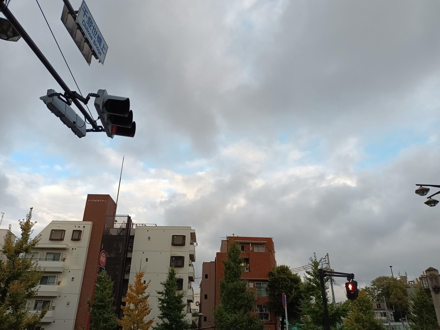 ランニング 池袋へ 全力 / man forestさんのランニングの活動データ | YAMAP / ヤマップ