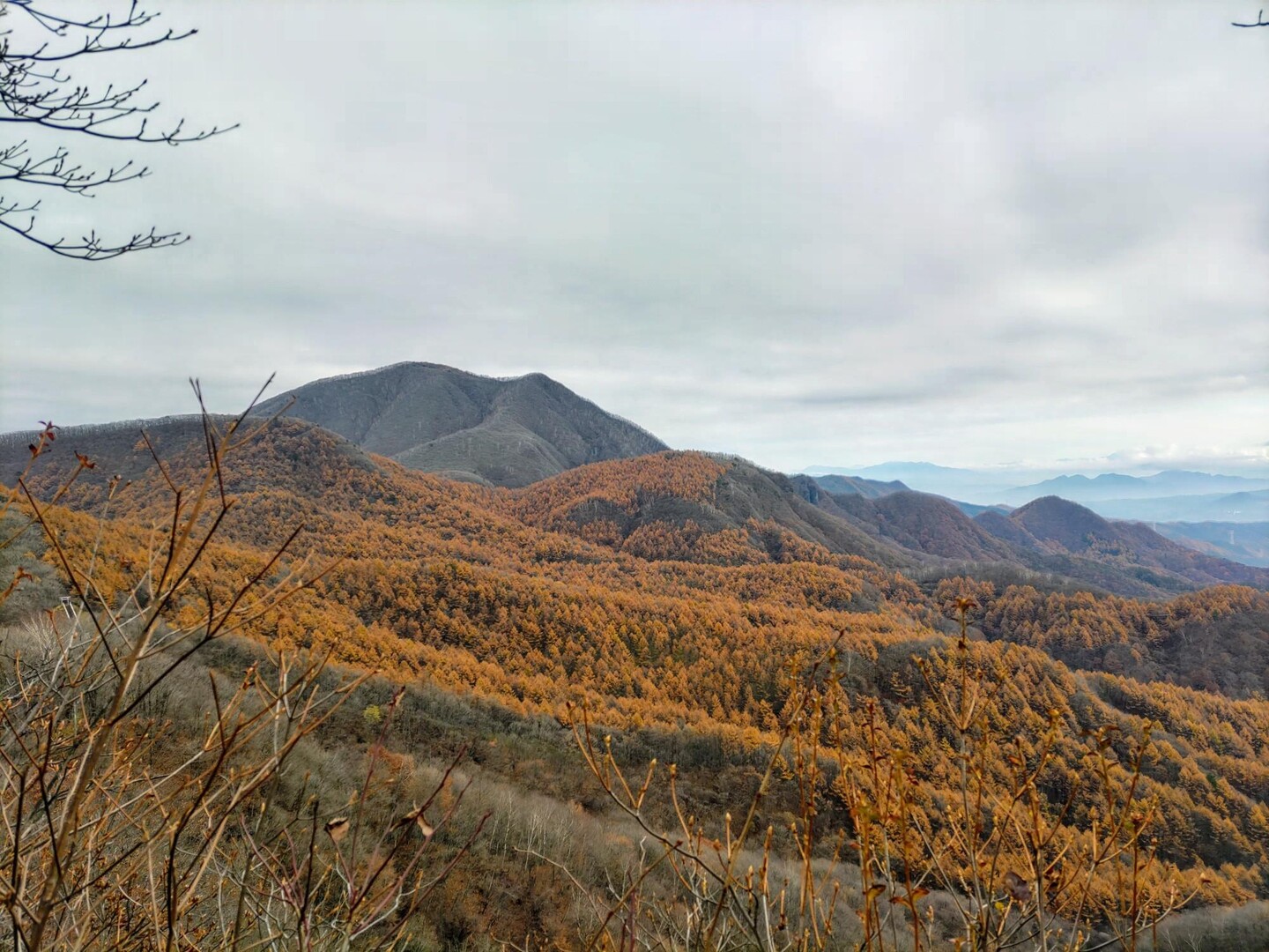 ぐんまの山旅「秋」♪浅間隠山と鼻曲に氷の妻… の巻 / Yuuki.Yさんの鼻曲山・氷妻山・留夫山の活動日記 | YAMAP / ヤマップ
