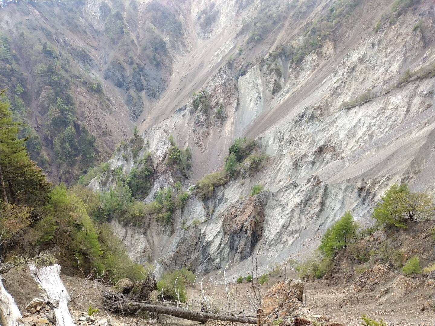 七面山（山梨県）2022-05-19 / 後瀬山くらぶさんのモーメント | YAMAP / ヤマップ