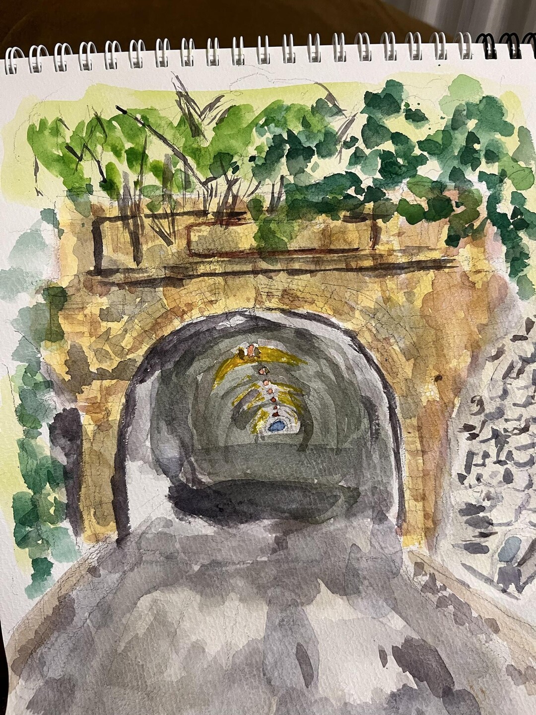 半分丸子 / ka-zさんのトレイルランニングの活動データ | YAMAP / ヤマップ