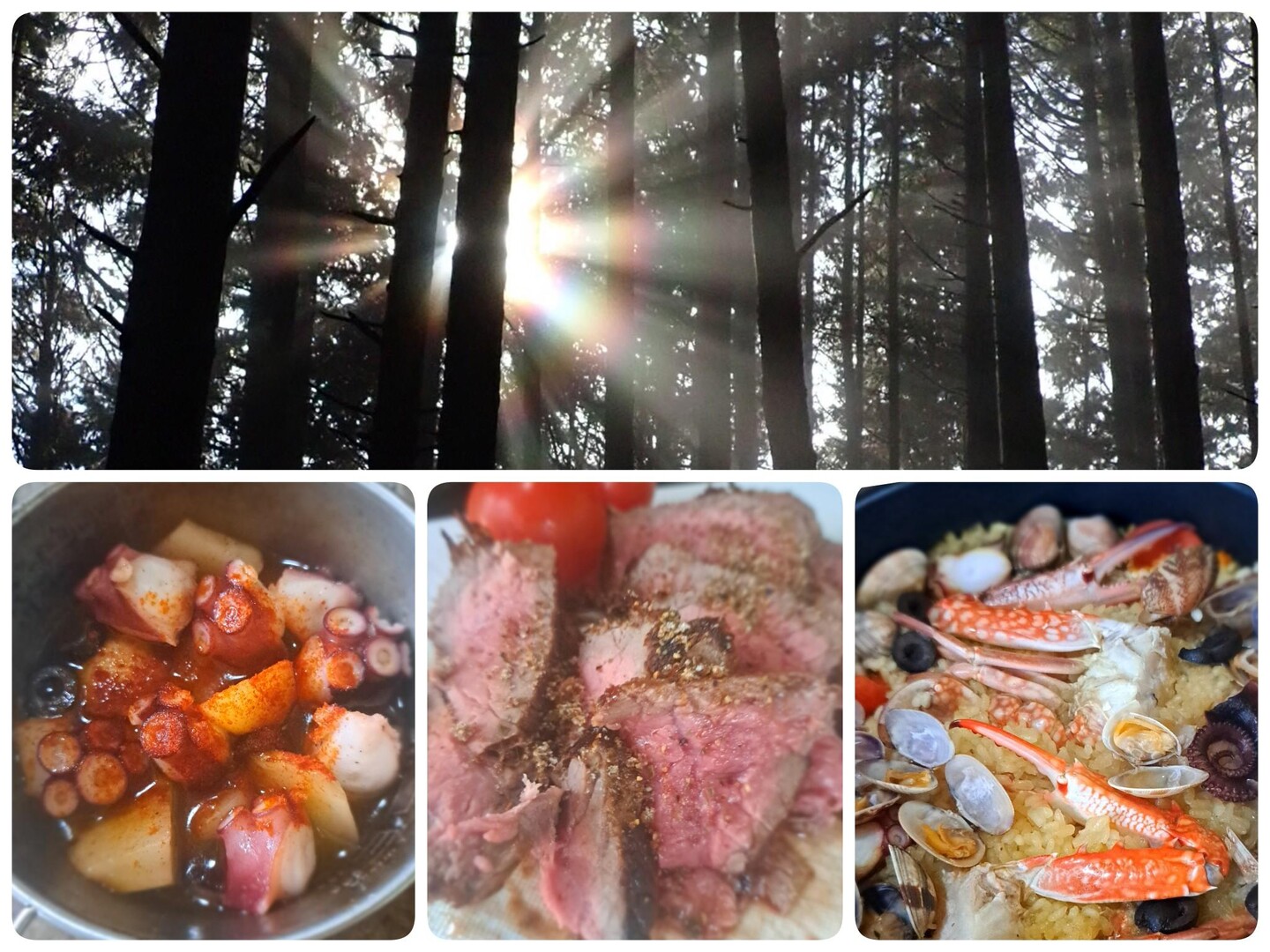 Welcome Rain ☂️～美しい経ヶ峰 / Cheさんの経ヶ峰の活動データ | YAMAP / ヤマップ