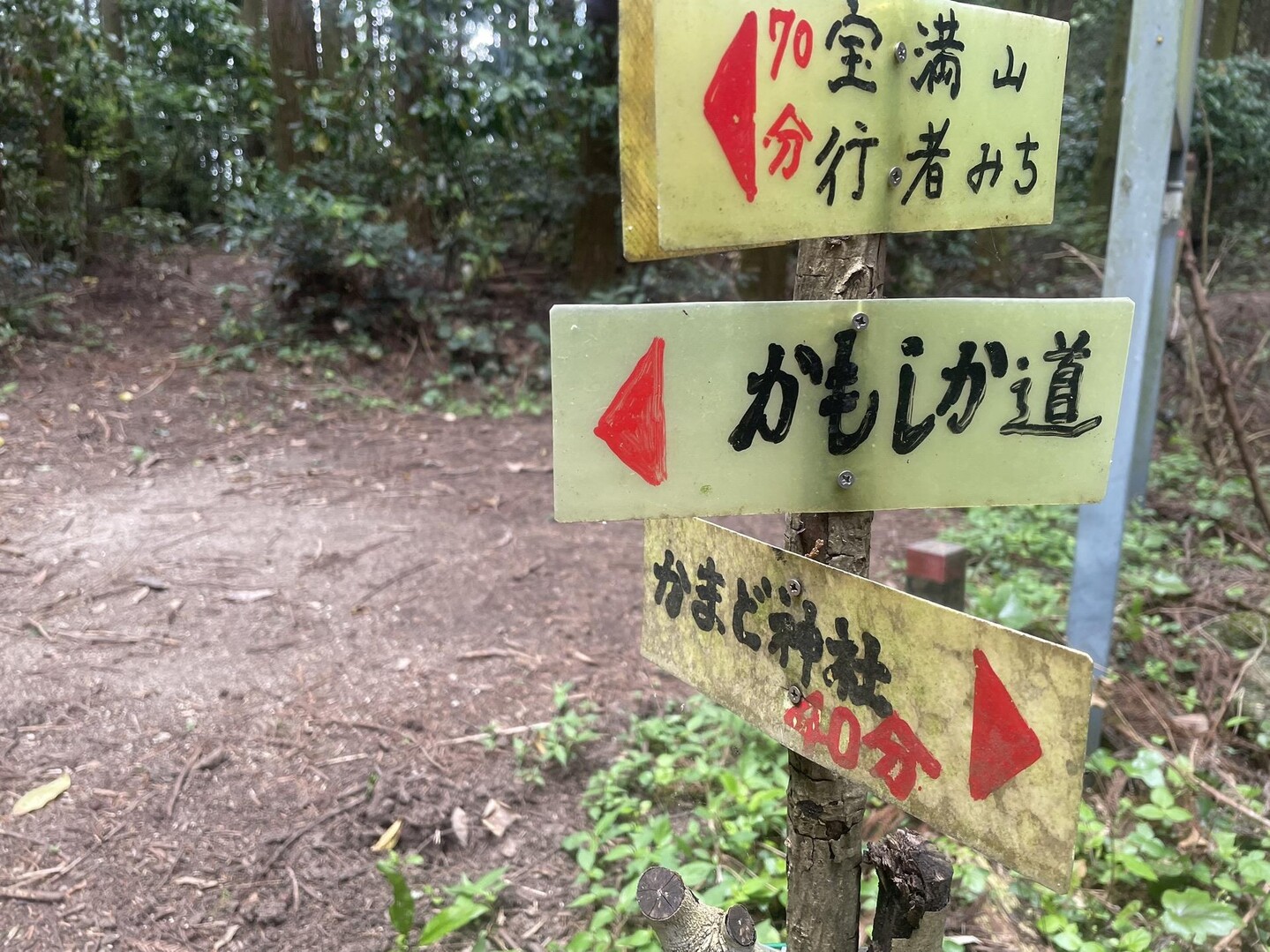 宝満山でもリハビリ山步(行者道編) / daikiboさんの宝満山・三郡山・若杉山の活動データ | YAMAP / ヤマップ