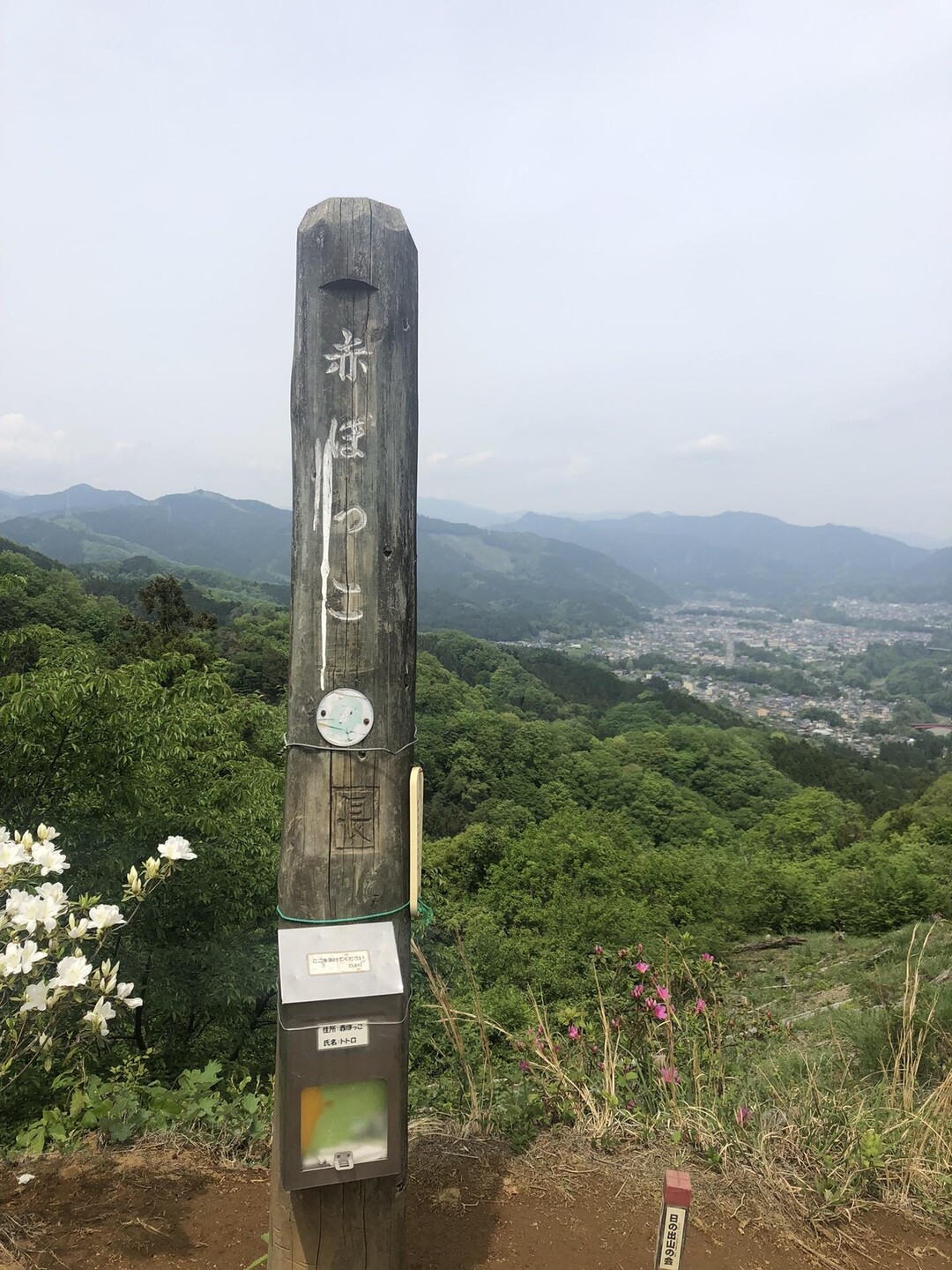 赤ぼっこ・天狗岩・要害山 / 🦅鷹レオンさんの赤ぼっこの活動データ | YAMAP / ヤマップ