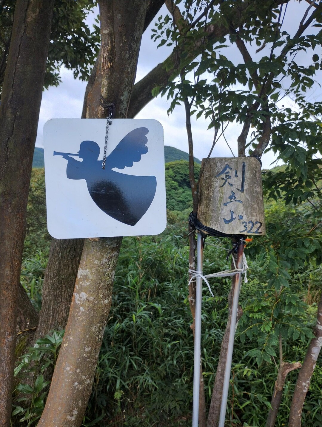 初‼️剣立山・城山 / Romiさんの平尾台・貫山・水晶山の活動データ | YAMAP / ヤマップ