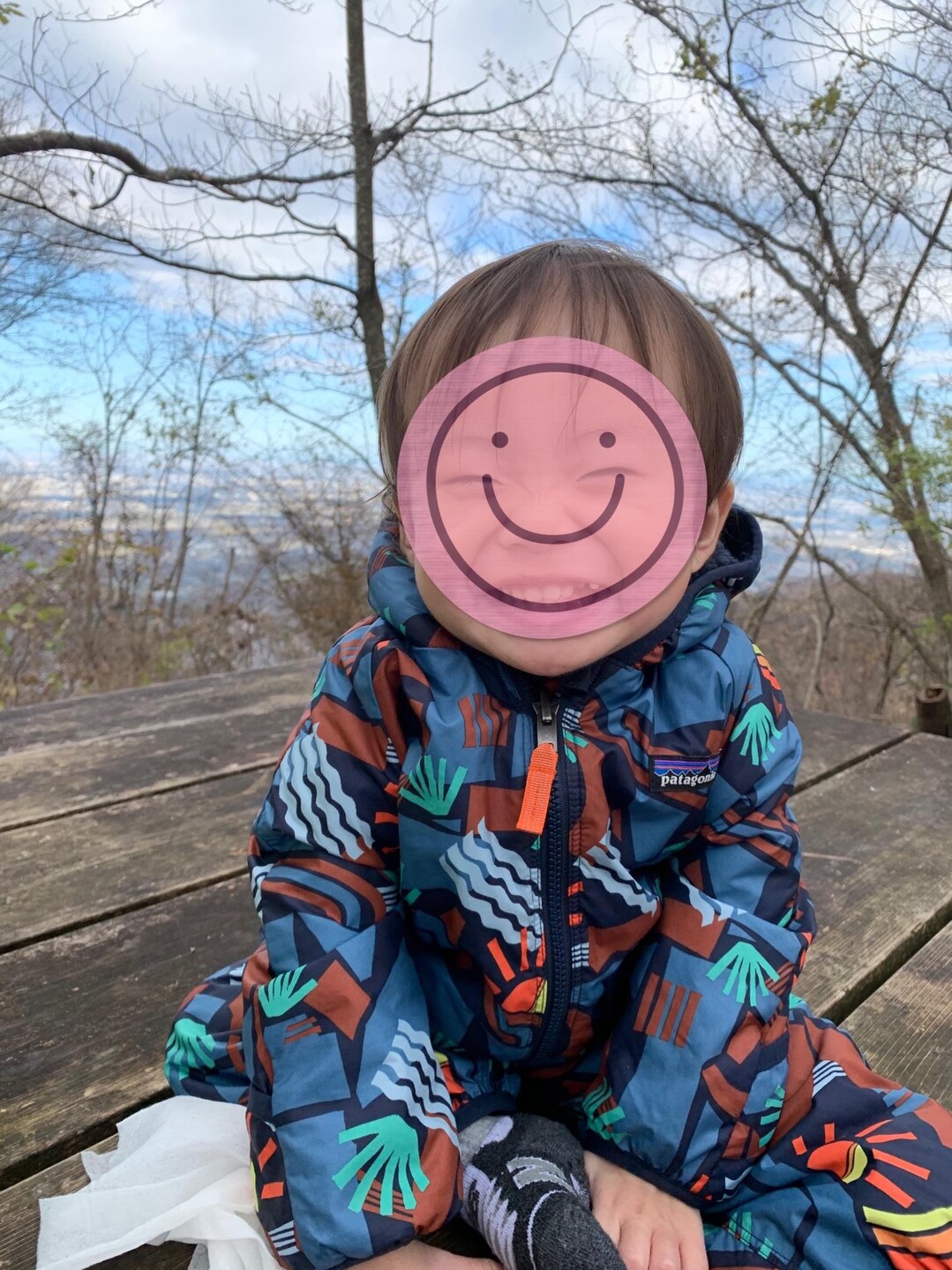 仏果山 / KO&momさんの仙洞寺山・南山・津久井堂所山の活動データ | YAMAP / ヤマップ