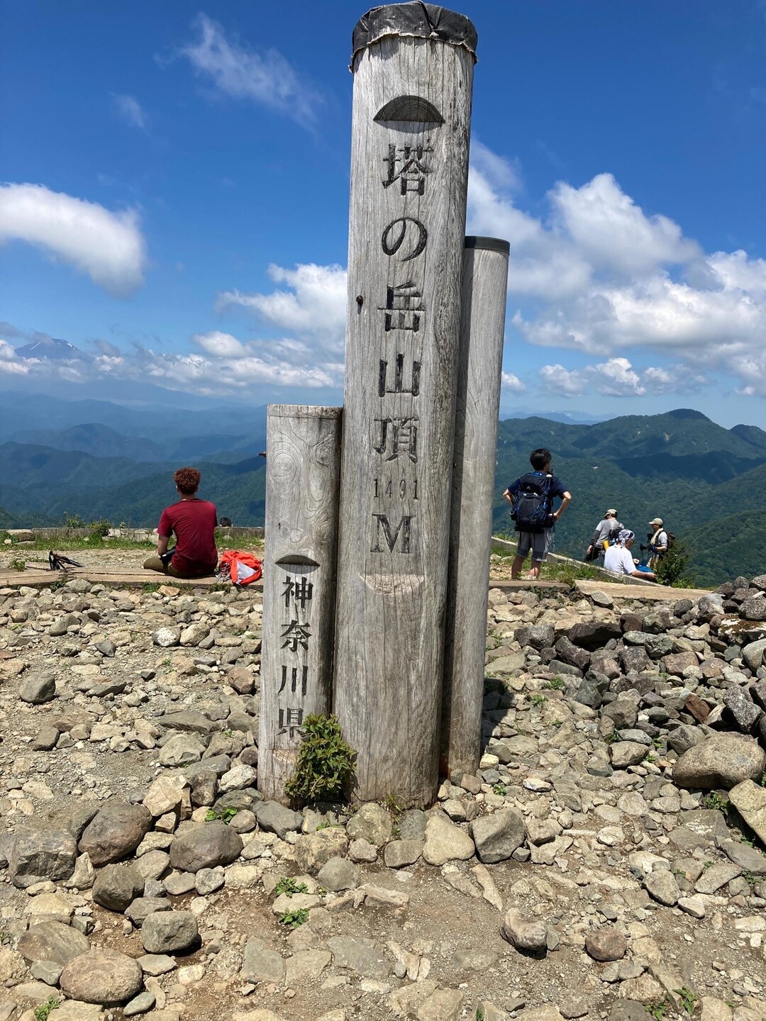 塔ノ岳・大倉尾根-2023-06-17 / kitさんの塔ノ岳・丹沢山・蛭ヶ岳の活動データ | YAMAP / ヤマップ