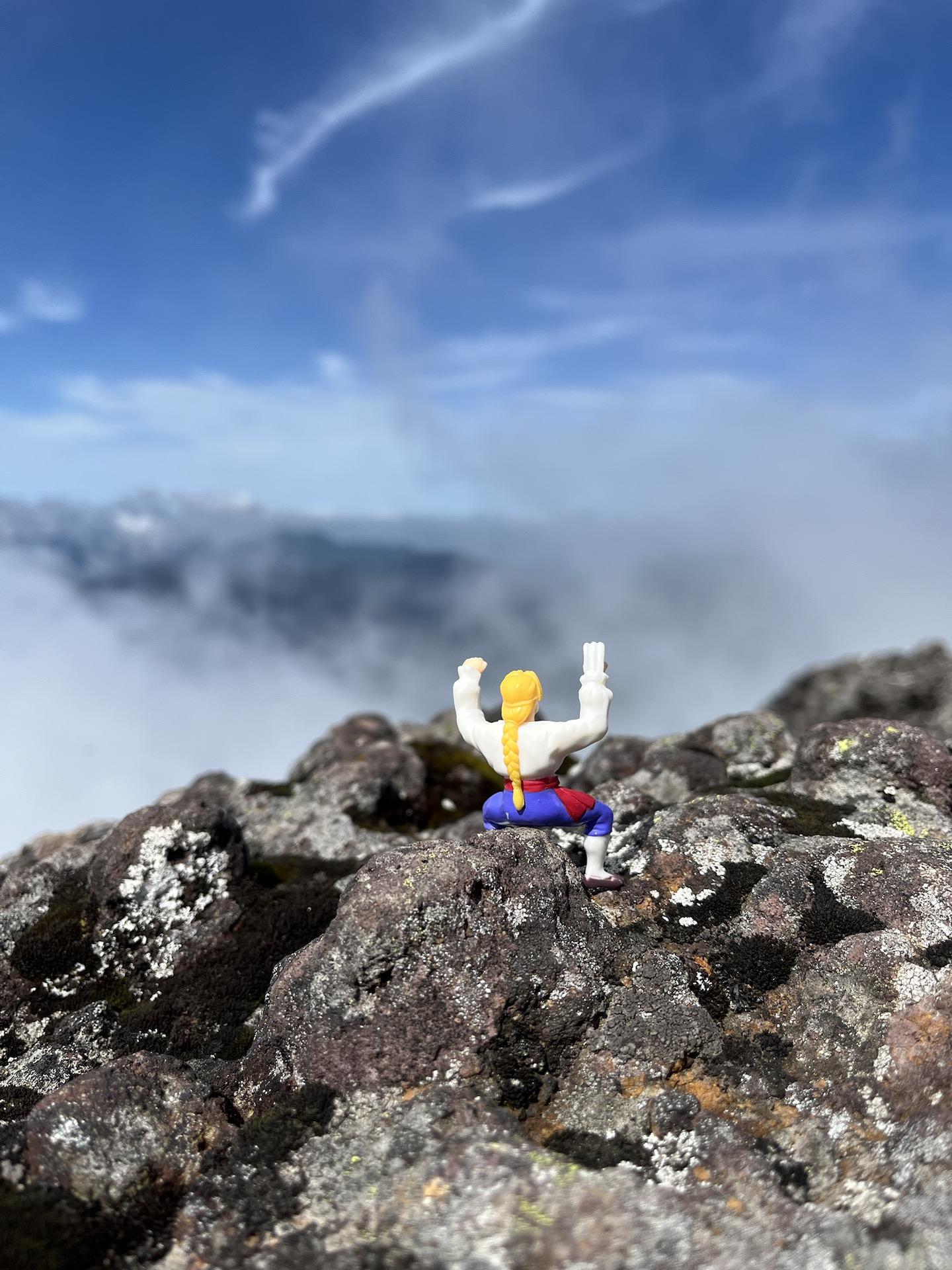 男体山 2025 17th (40分の壁🧗) / aoi-stepさんの男体山の活動データ | YAMAP / ヤマップ