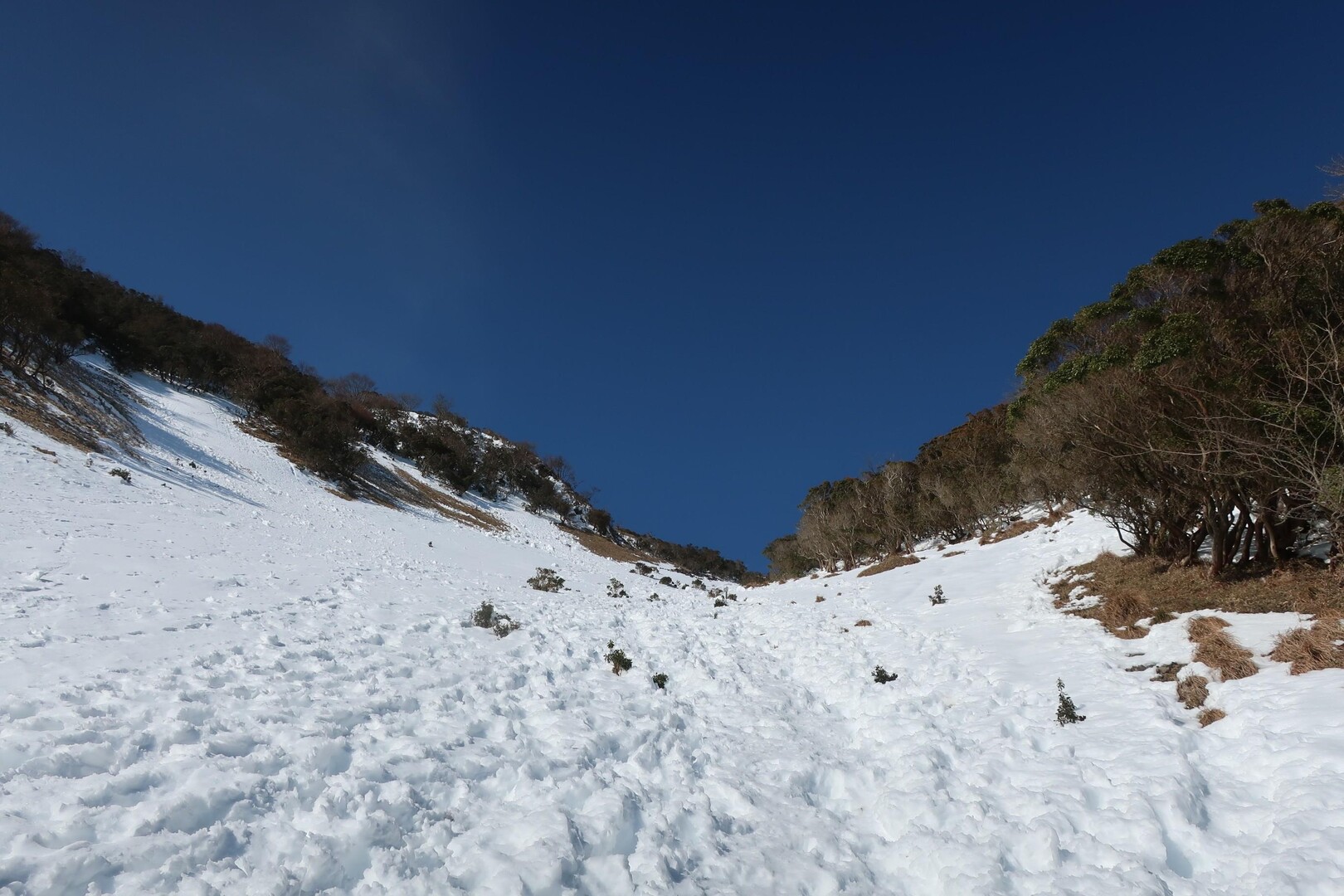 風もなく穏やかな雪の入道ヶ岳 / Heart Goldさんの入道ヶ岳・鎌ヶ岳・仙ヶ岳の活動データ | YAMAP / ヤマップ