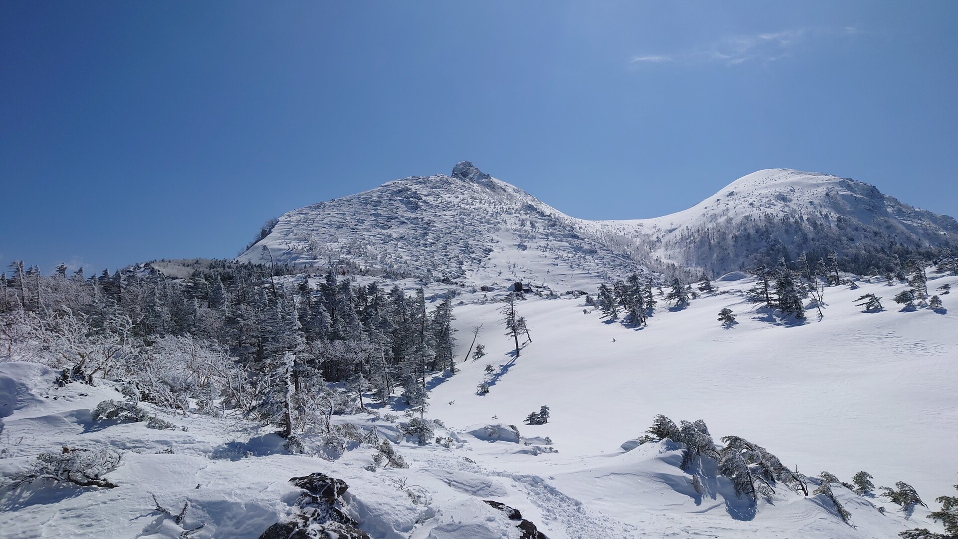 八ヶ岳 天狗岳(唐沢鉱泉手前から) / Shさんの八ヶ岳（赤岳・硫黄岳・天狗岳）の活動データ | YAMAP / ヤマップ