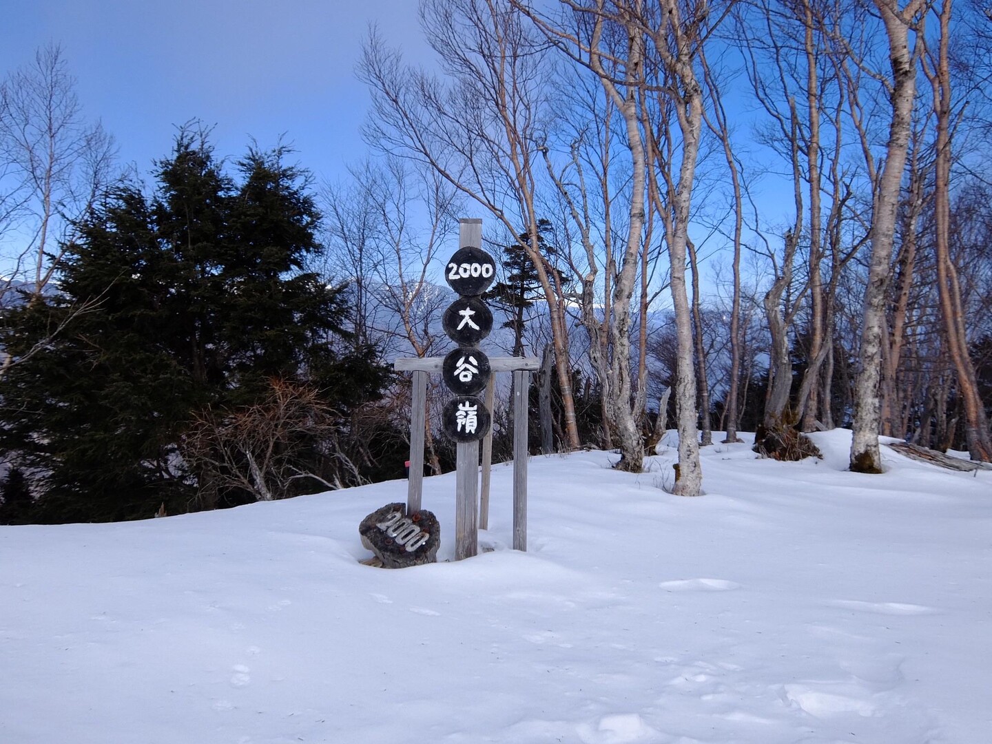 大谷嶺 / berry🍊さんの山伏・八紘嶺・笹山の活動データ | YAMAP / ヤマップ