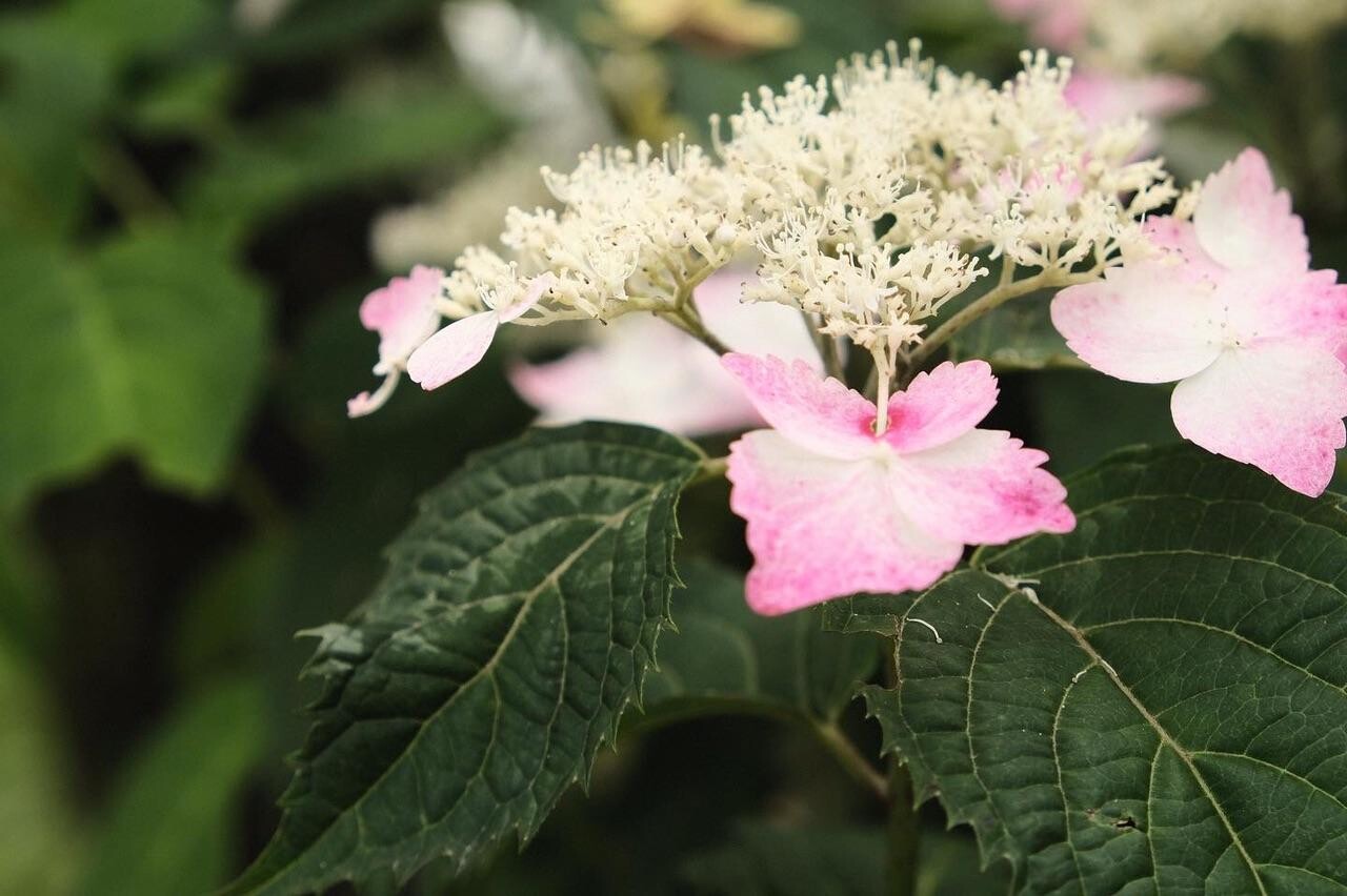 KEiのページ | YAMAP / ヤマップ