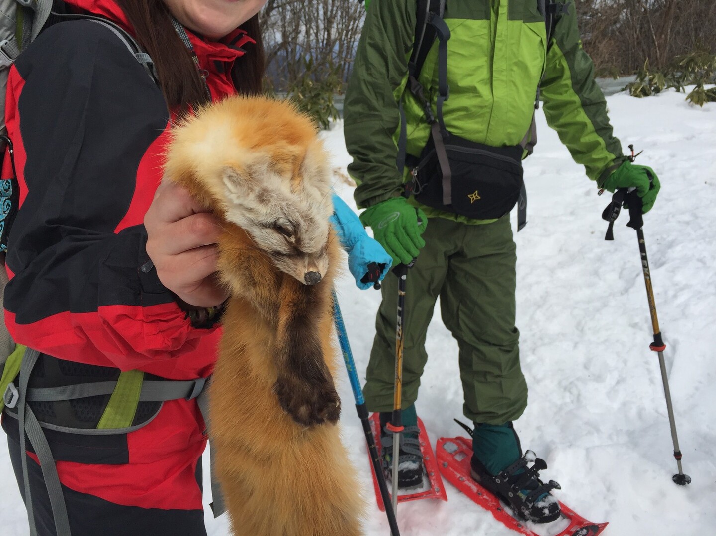 蛇峠（じゃとうげ）山 スノーシュー / tatubaiさんの蛇峠山の活動データ | YAMAP / ヤマップ