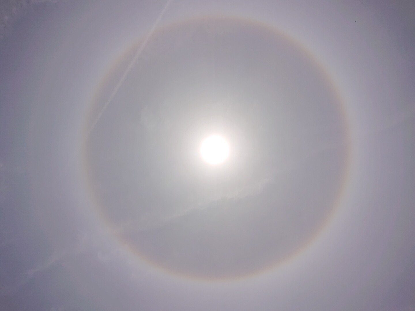 今日の空 たまたま見上げた空が\(^^... / 嶋ちゃんさんのモーメント | YAMAP / ヤマップ