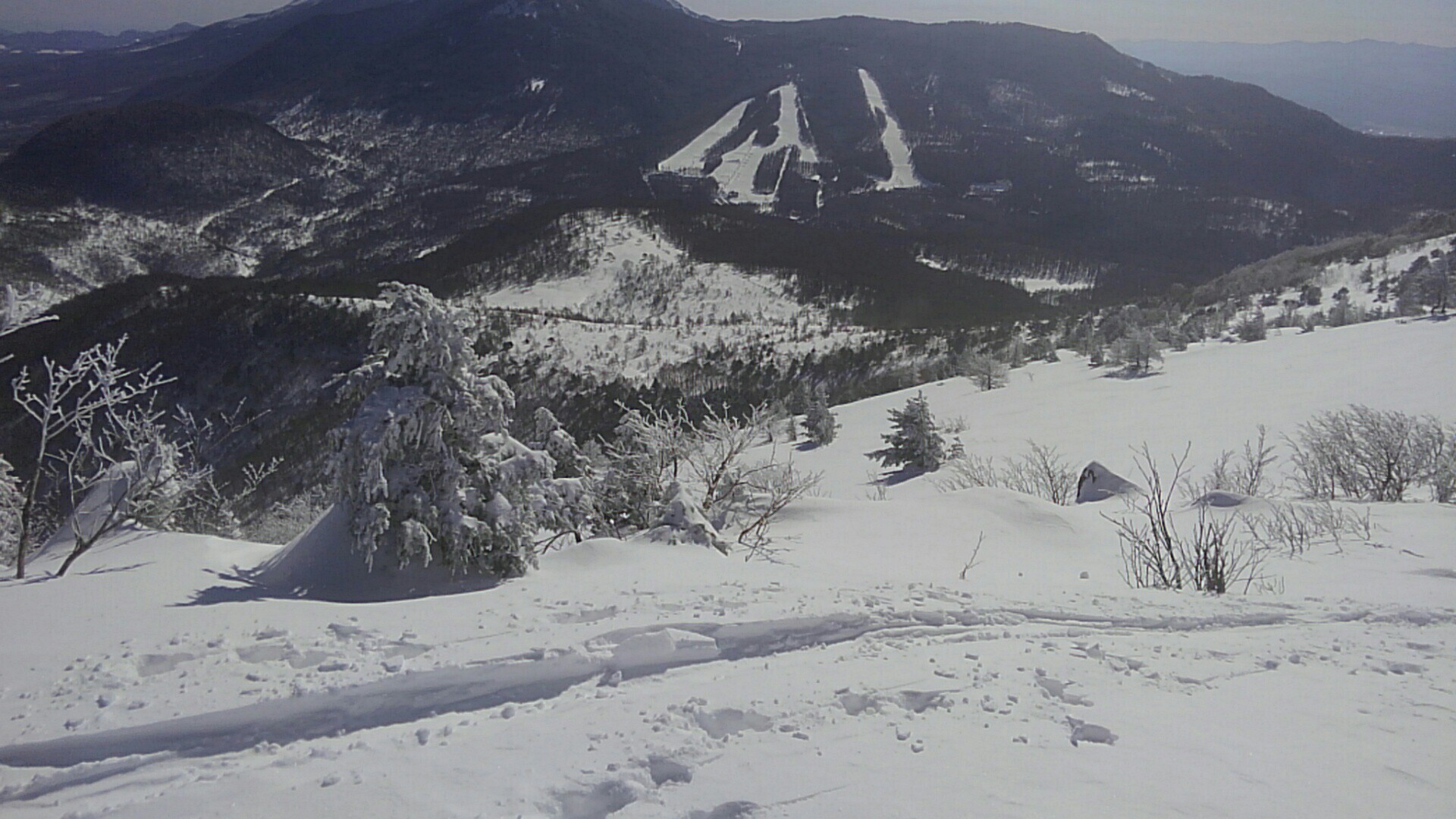 湯の丸高原BC / kooさんの浅間山・黒斑山・篭ノ登山の活動日記 | YAMAP / ヤマップ