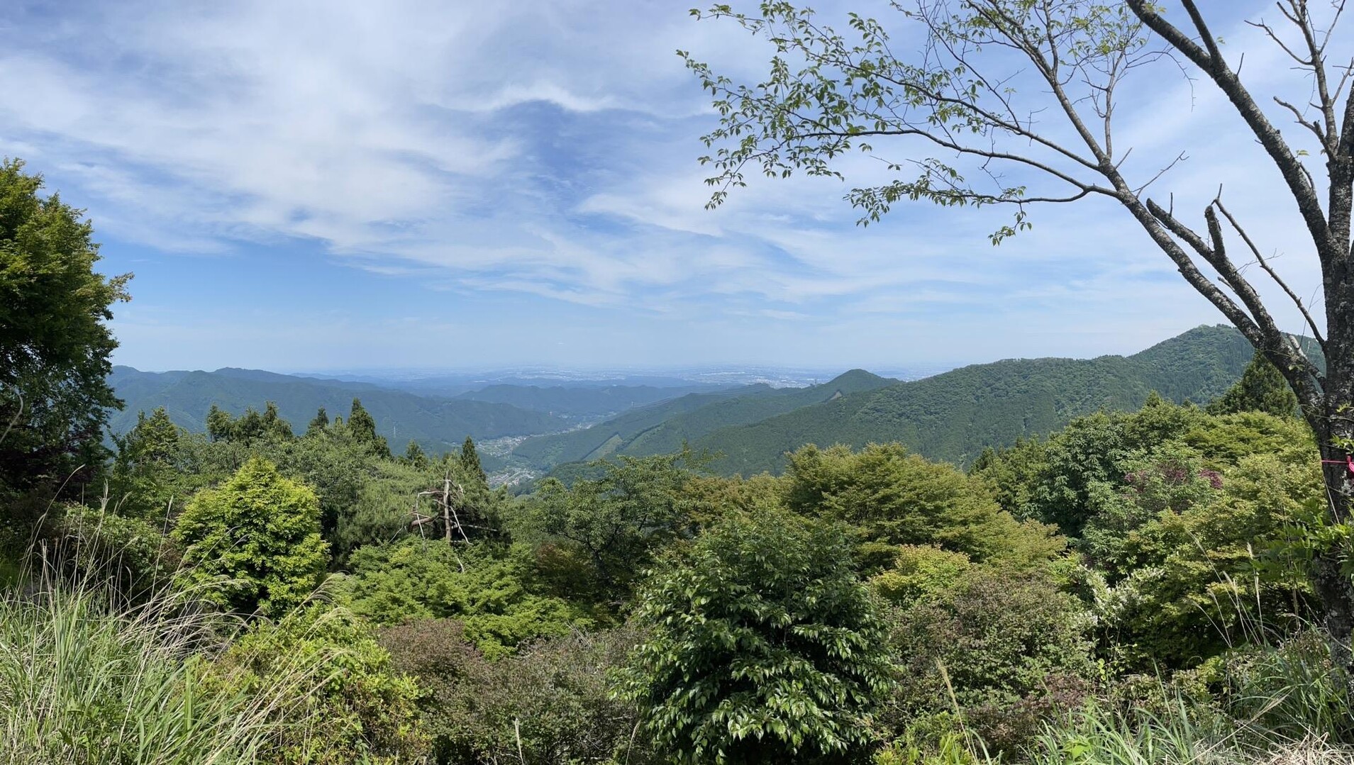 御岳山・大岳山・トバノ岩山・中岩山・オキノ中岩山・鋸山・愛宕山 / OBrien Andrewさんの大岳山・御岳山・御前山の活動データ | YAMAP / ヤマップ