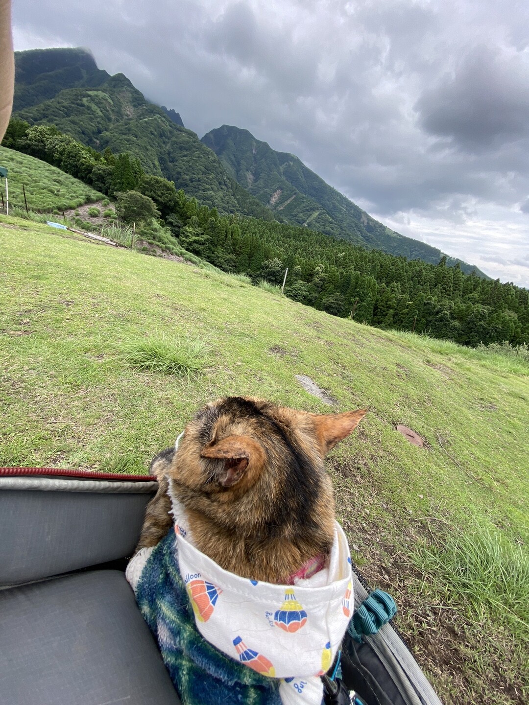 根子岳とゆきちゃん / なおさんのモーメント | YAMAP / ヤマップ