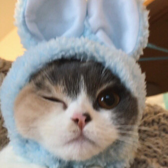 kato8686のページ | YAMAP / ヤマップ